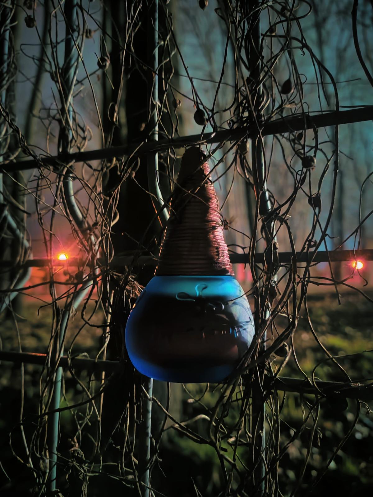 Monsoon (original) Monsoon perfume - a fragrance for women 1994