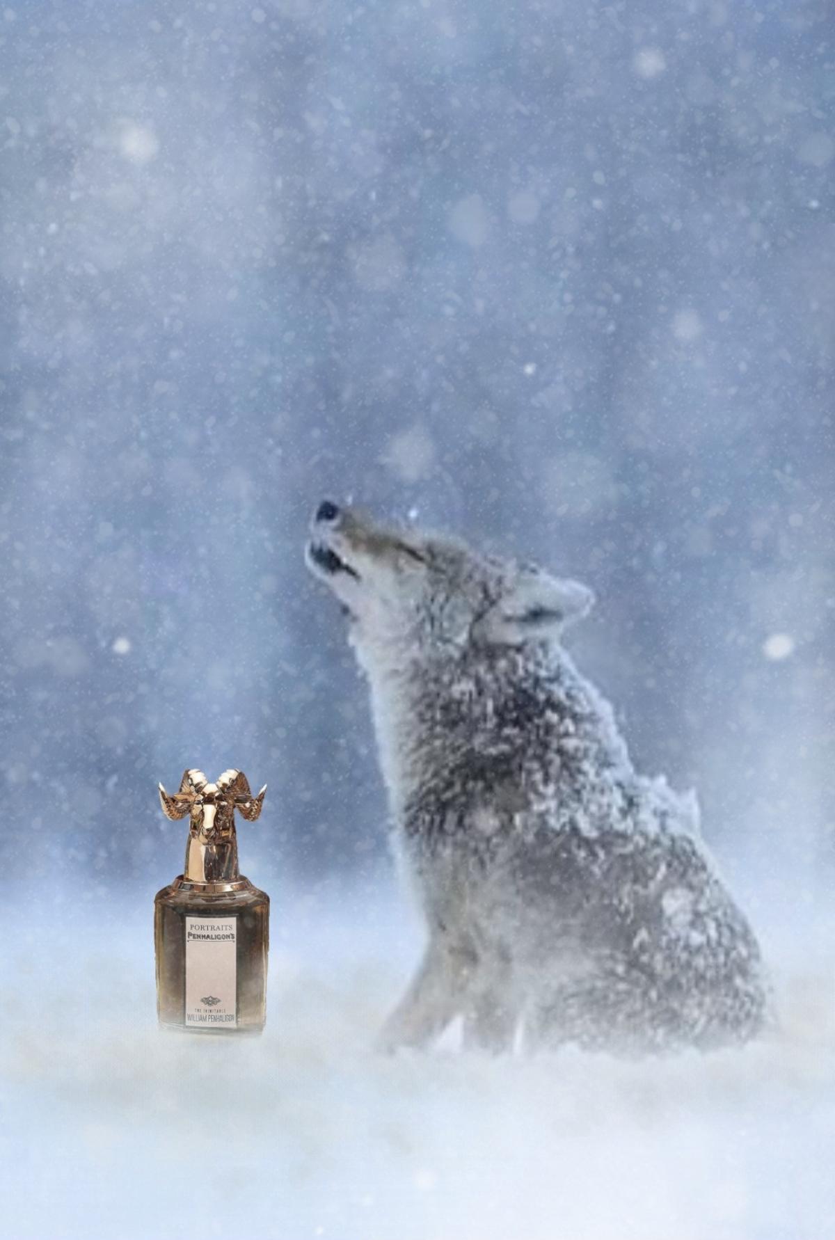 The Inimitable William Penhaligon Penhaligon's cologne - a fragrance ...