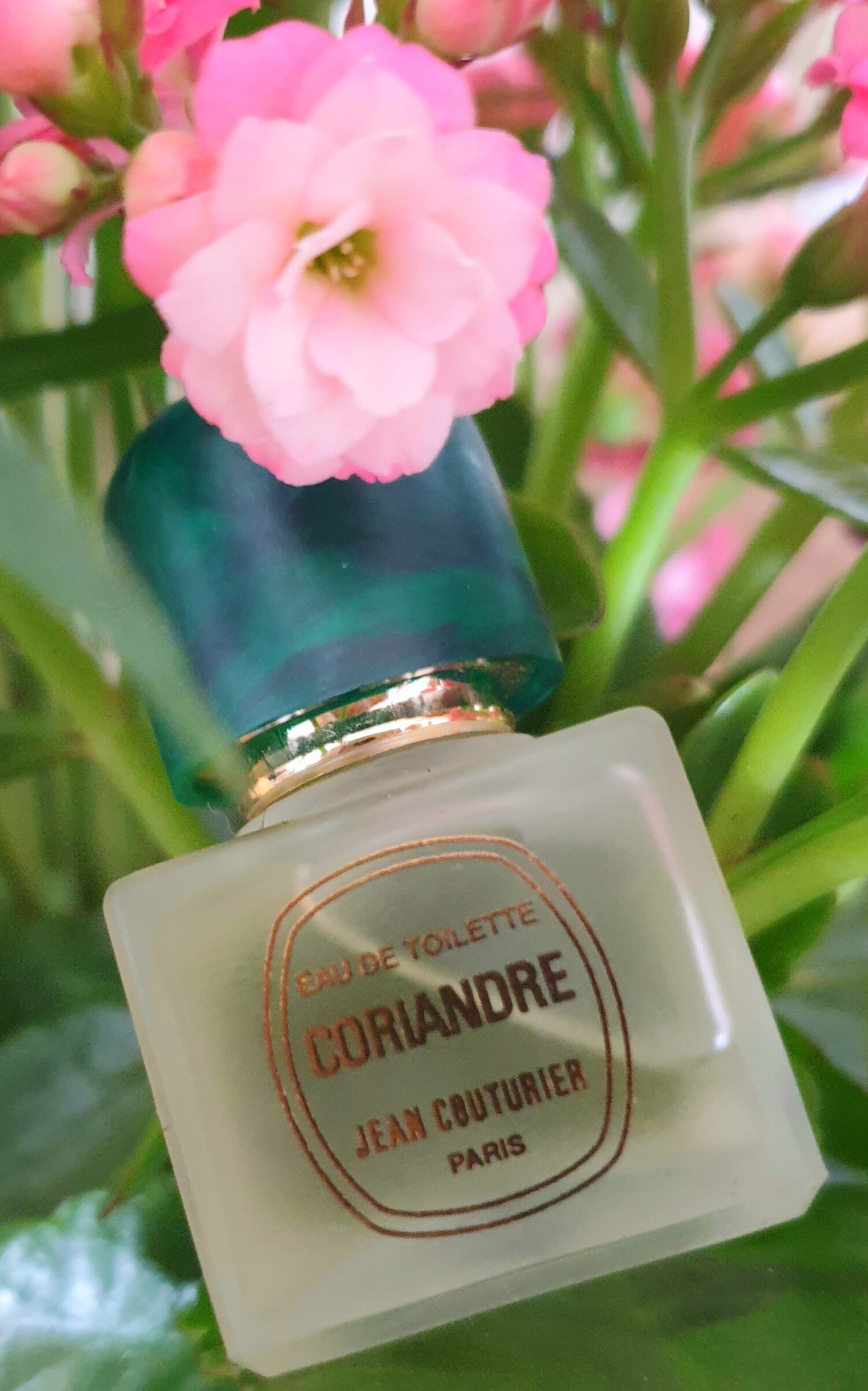 Coriandre Jean Couturier perfume - a fragrance for women 1973