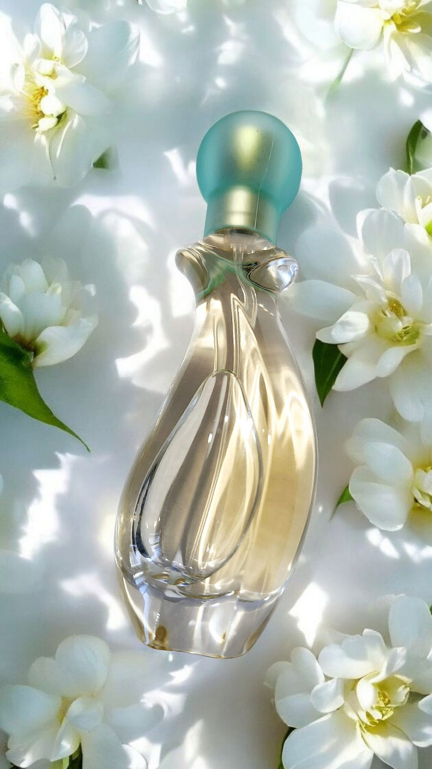 Wings Giorgio Beverly Hills perfume - a fragrance for women 1992