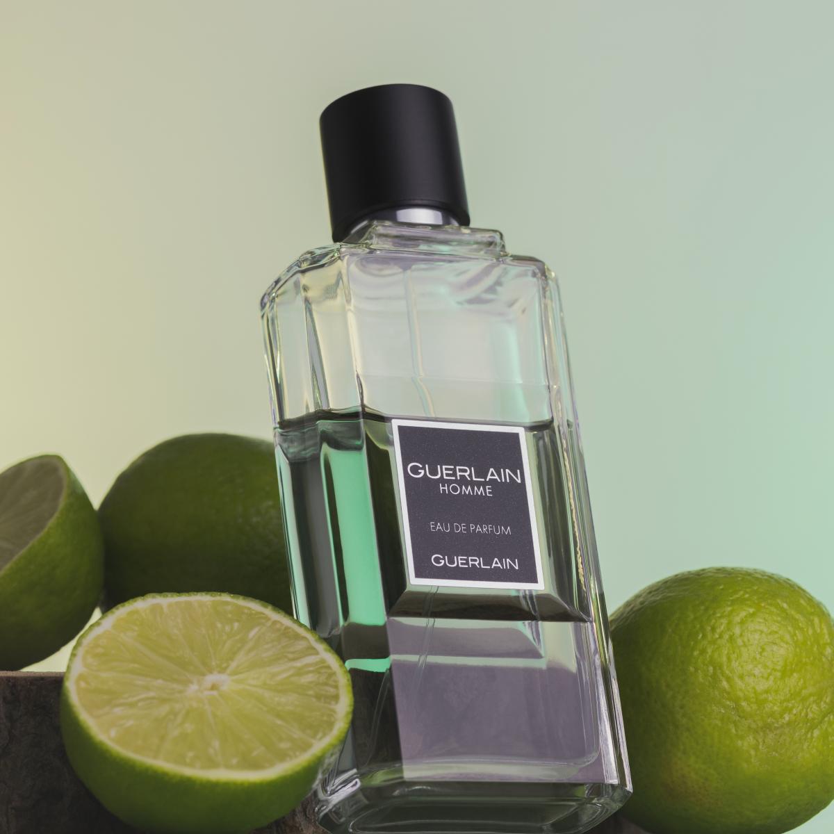 Guerlain Homme Eau de Parfum (2016) Guerlain cologne - a fragrance for ...