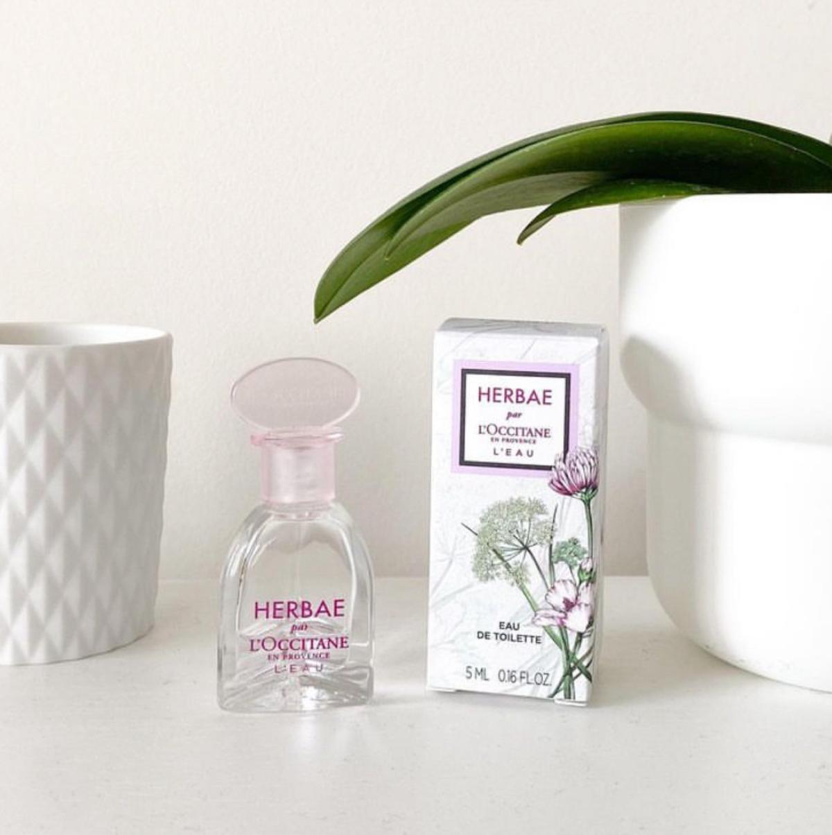 Herbae L'Eau L'Occitane en Provence perfume - a fragrance for women 2020