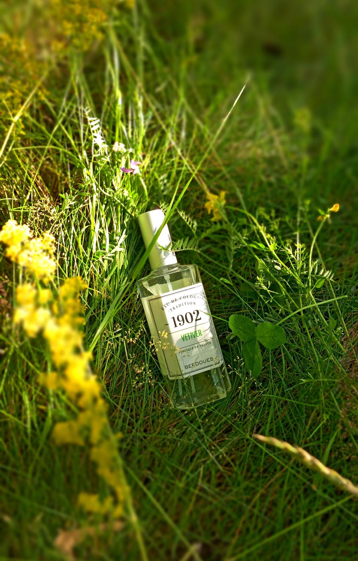 1902 Vetiver Parfums Berdoues perfume - a fragrance for women and men