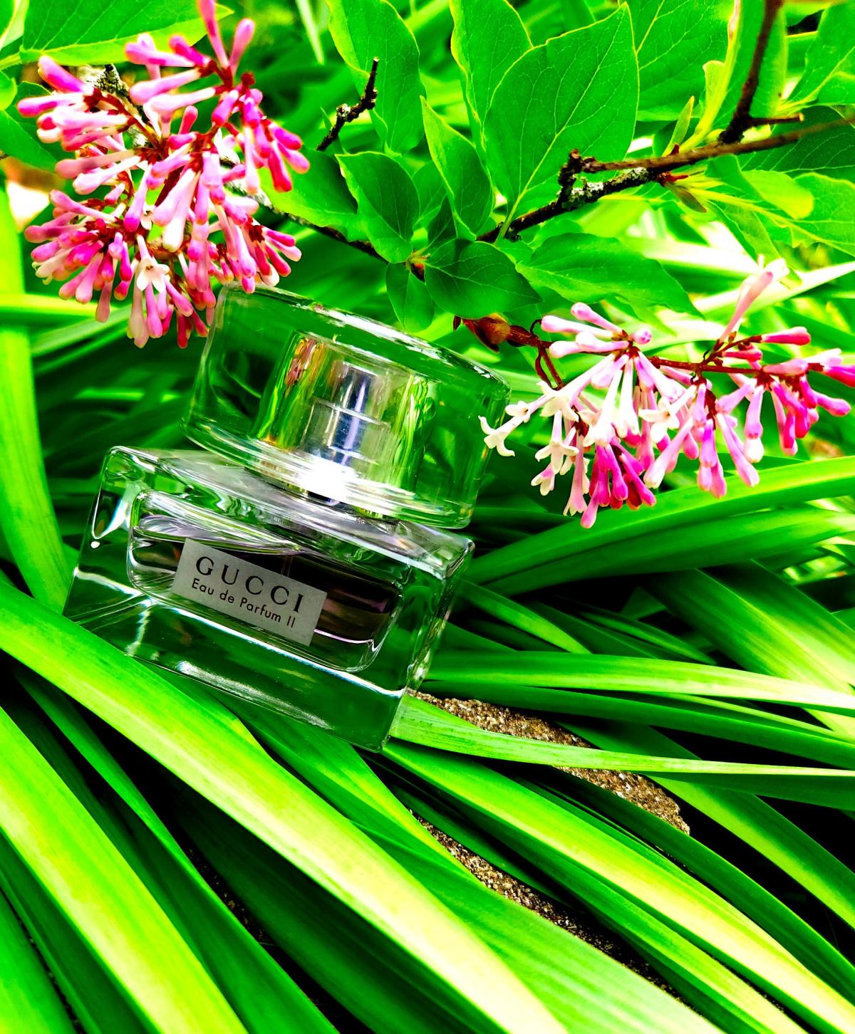 Gucci Eau de Parfum II Gucci perfume - a fragrance for women 2004