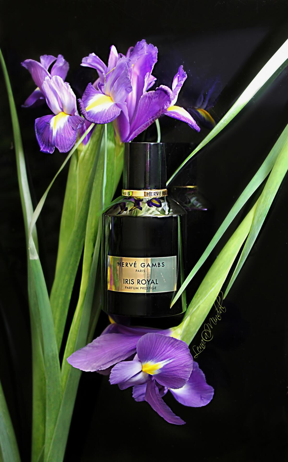 Iris Royal Herve Gambs Paris perfume - a fragrance for women and men 2018