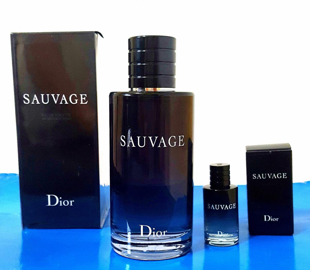 Sauvage Dior colônia - a fragrância Masculino 2015