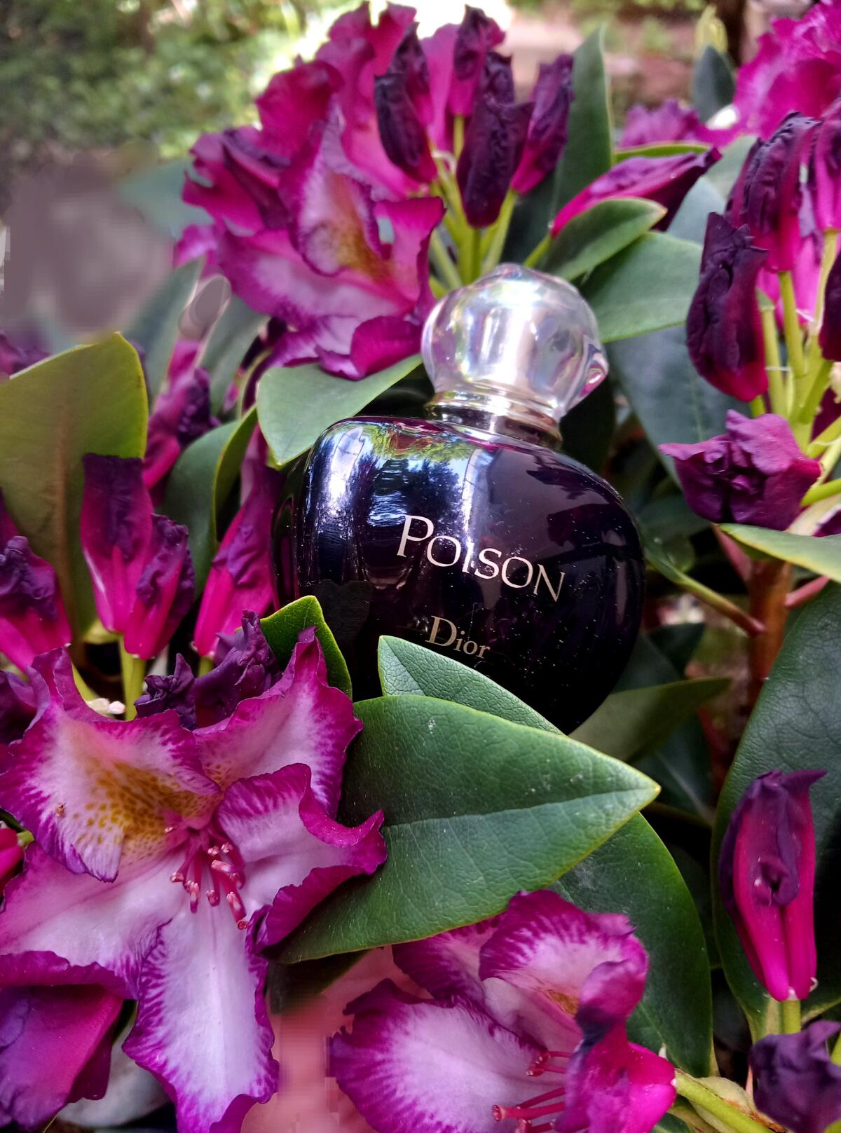 Poison Dior - una fragranza da donna 1985