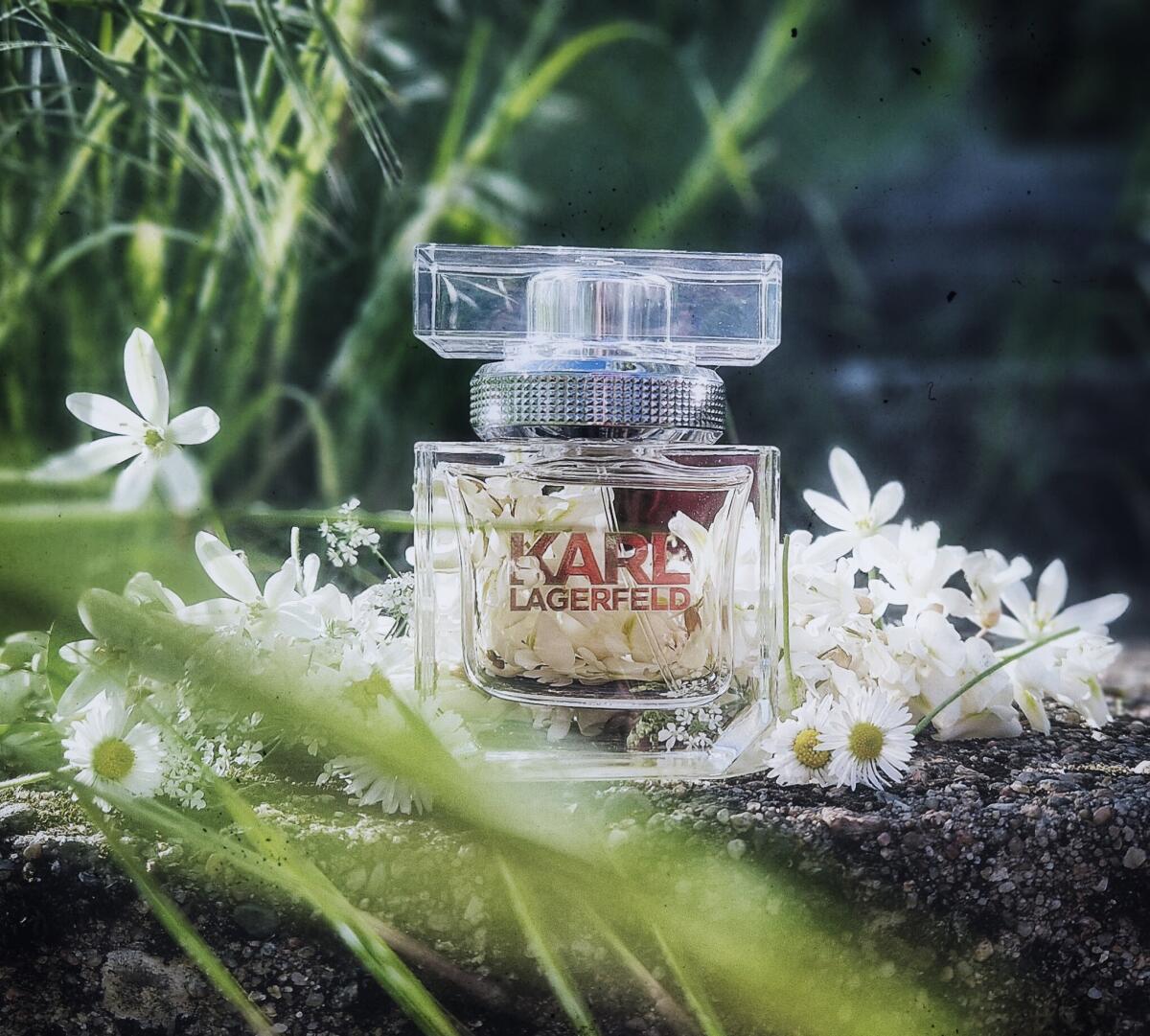 Karl Lagerfeld for Her Karl Lagerfeld perfume - a fragrance for women 2014