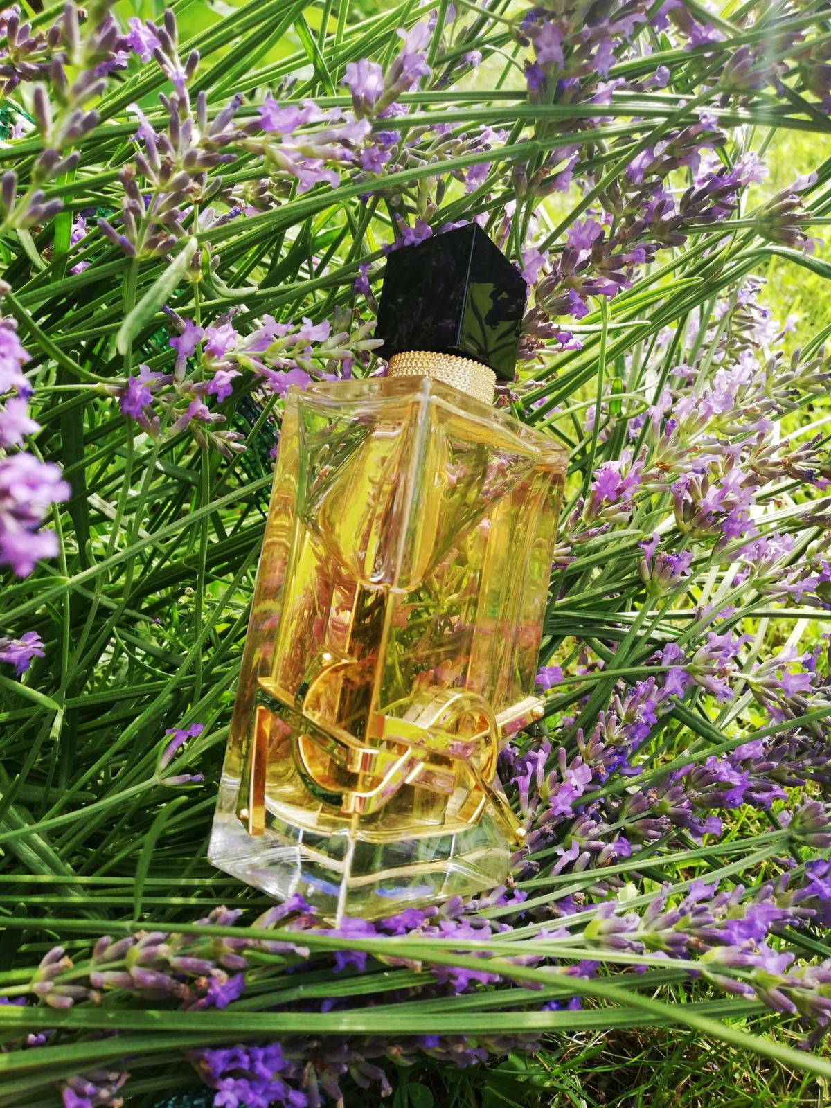 Libre Yves Saint Laurent perfume - a fragrance for women 2019