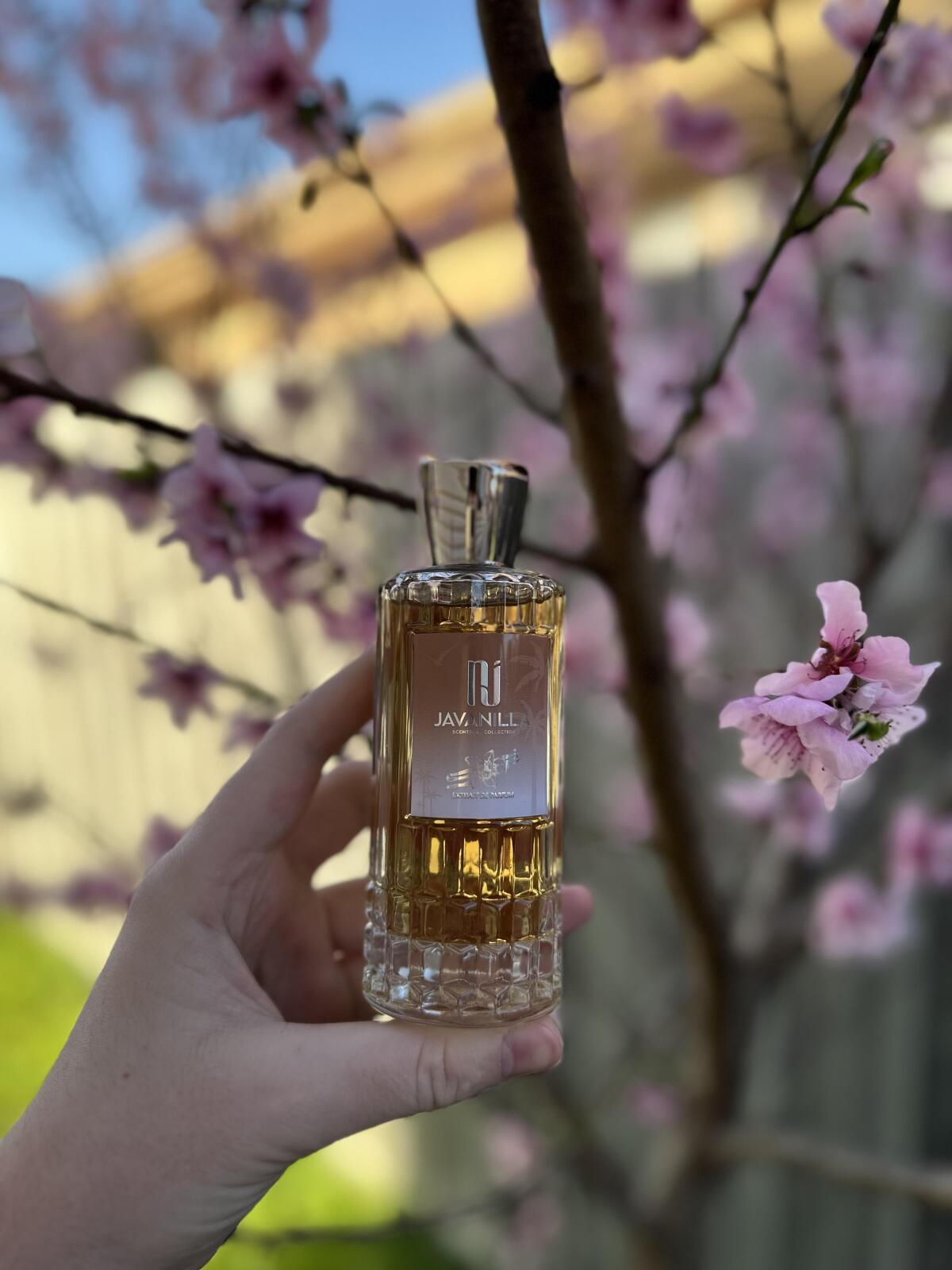 Javanilla Neil Jacquet عطر - a جديد fragrance للجنسين 2025