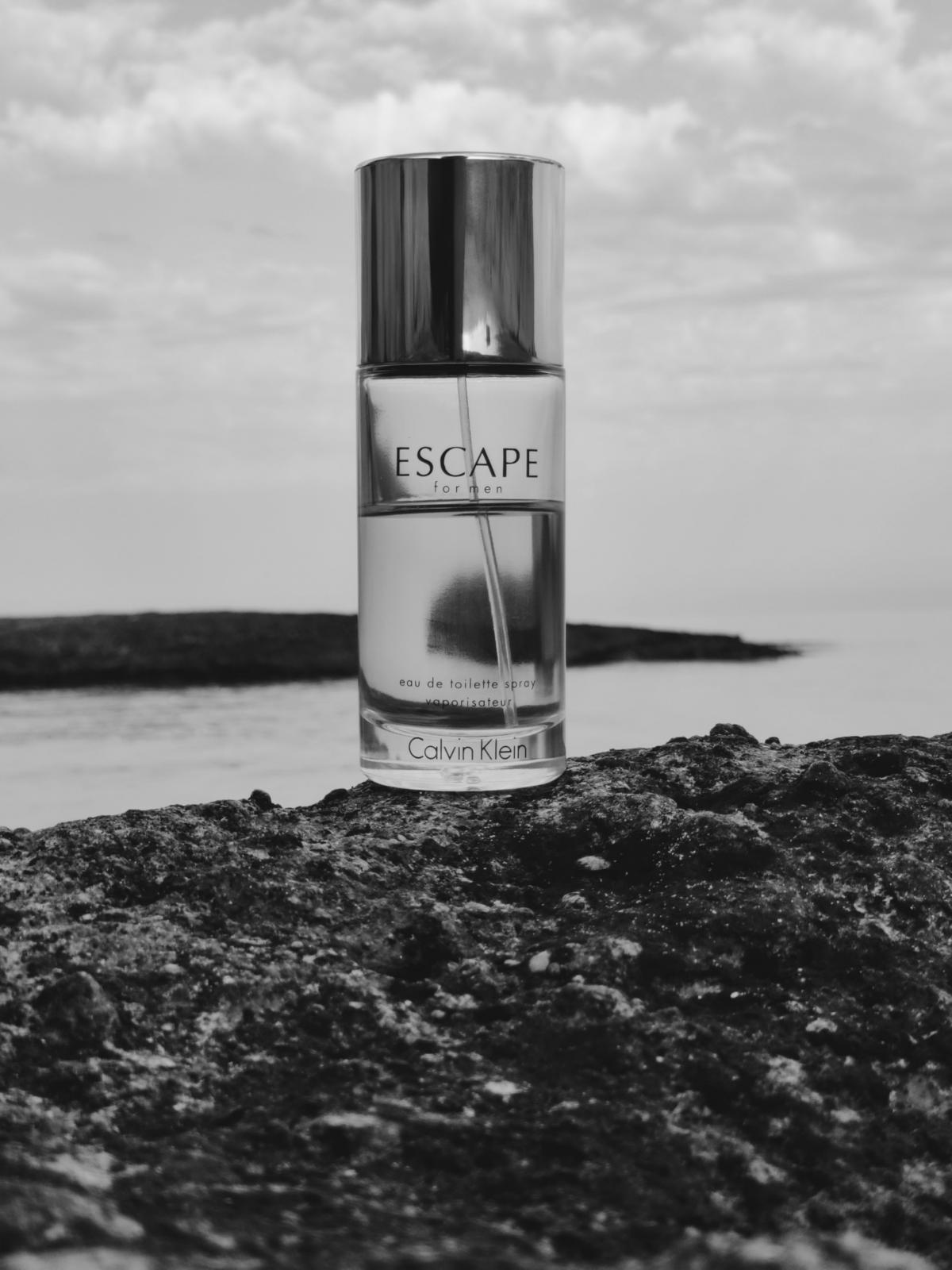 Escape for Men Calvin Klein cologne - a fragrance for men 1993