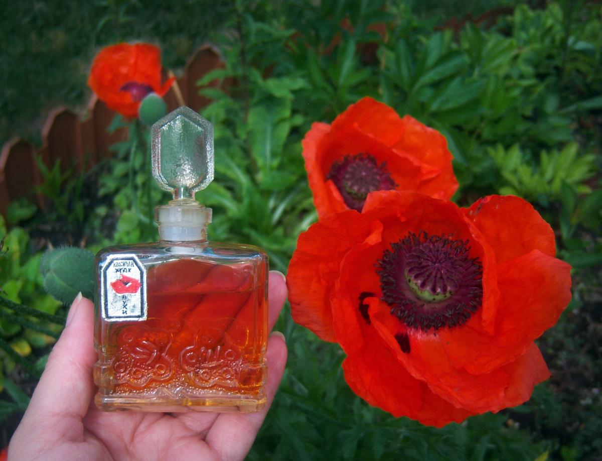 Красный Мак (Red Poppy Flower) Новая Заря (The New Dawn) perfume - a ...