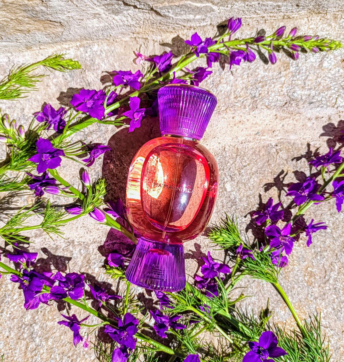 Ma'magnifica Bvlgari perfume - a fragrance for women 2023