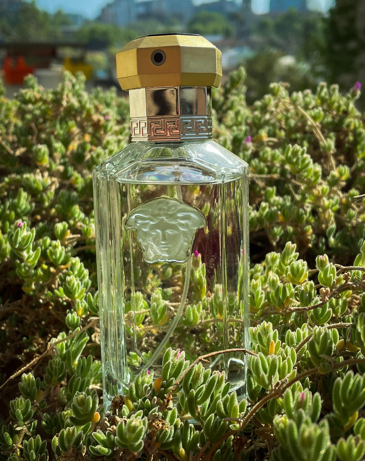 The Dreamer Versace cologne - a fragrance for men