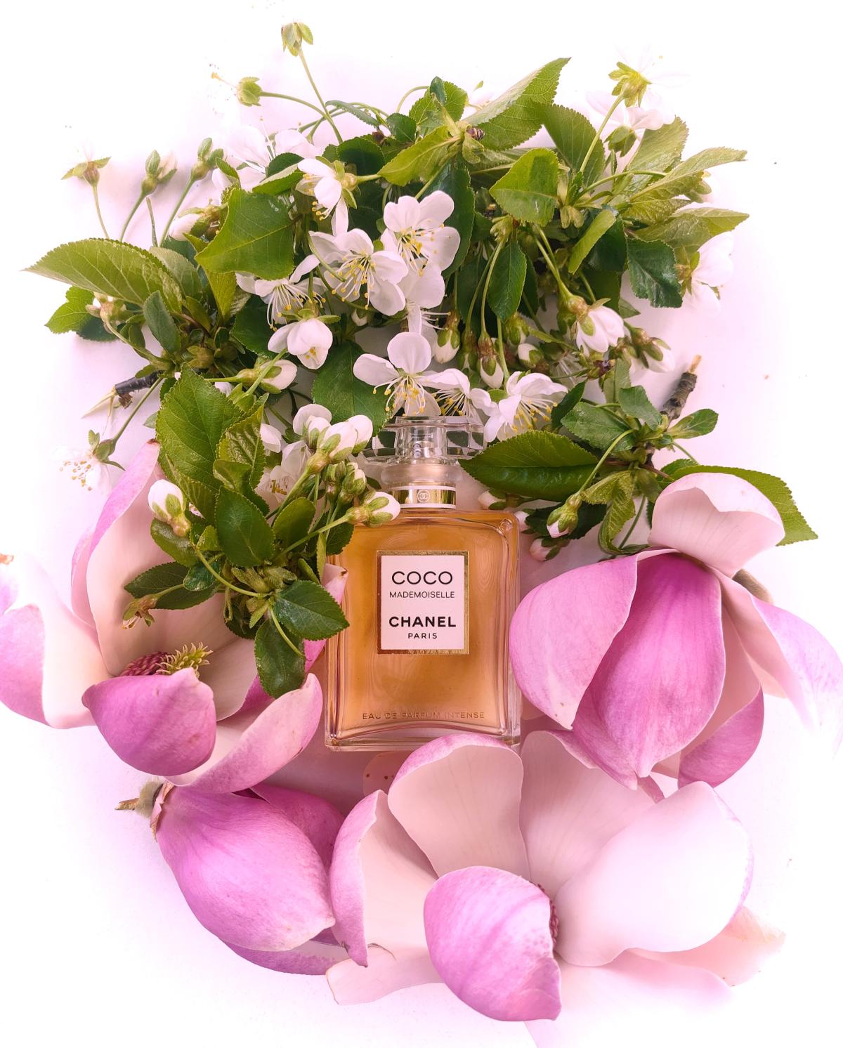 Coco Mademoiselle Intense Chanel perfume - a fragrance for women 2018