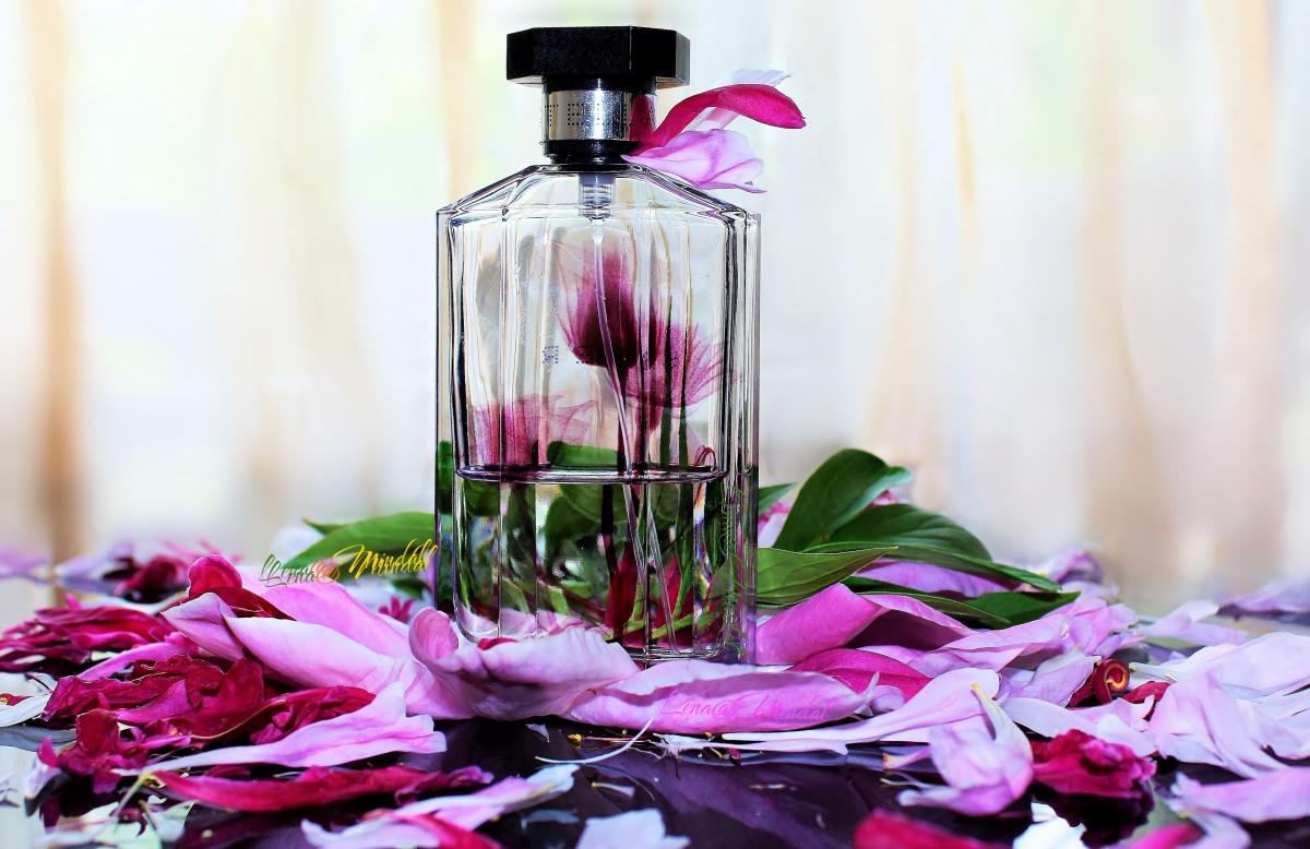 Sheer Stella 2011 Stella McCartney perfume - a fragrance for women 2011