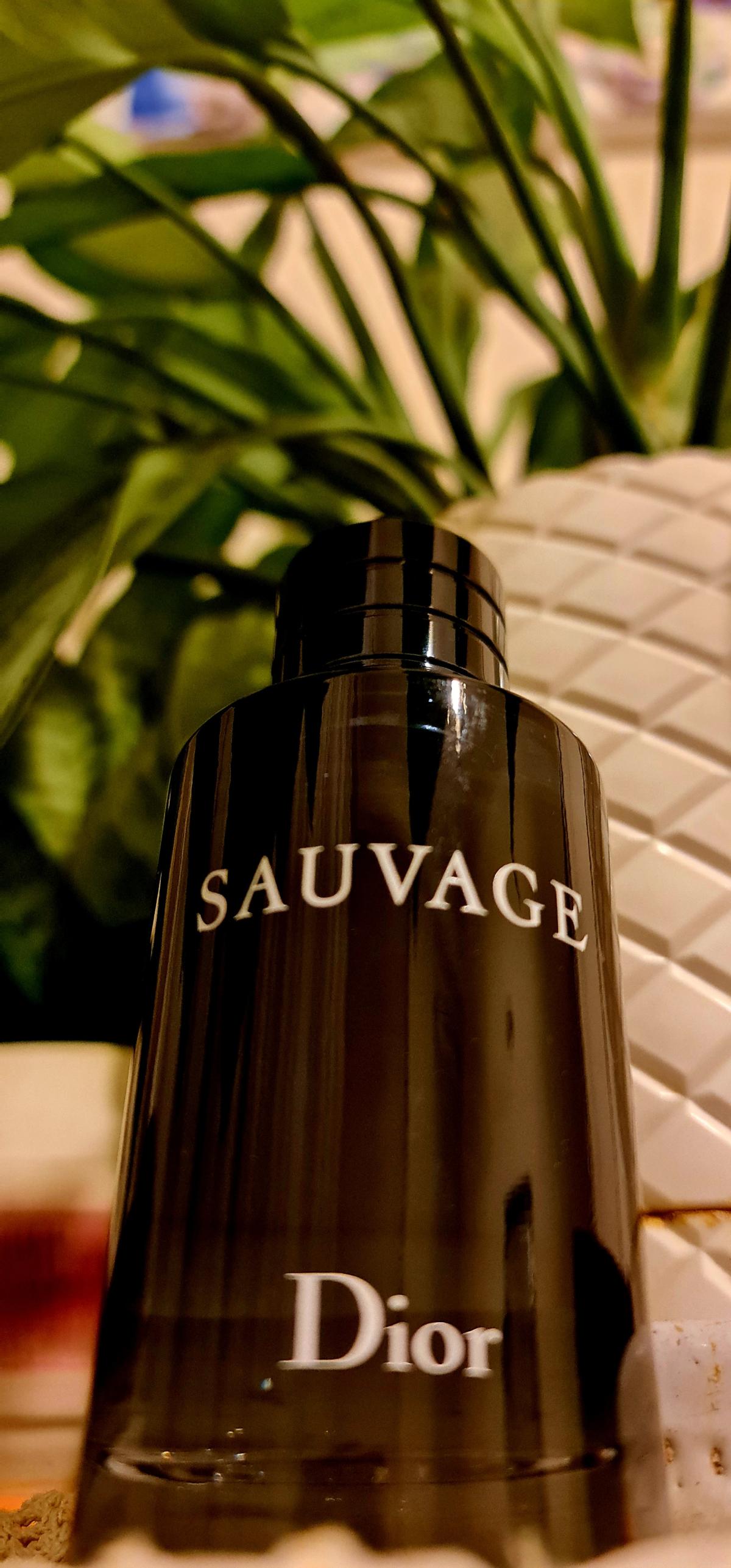 Sauvage Dior cologne - a fragrance for men 2015