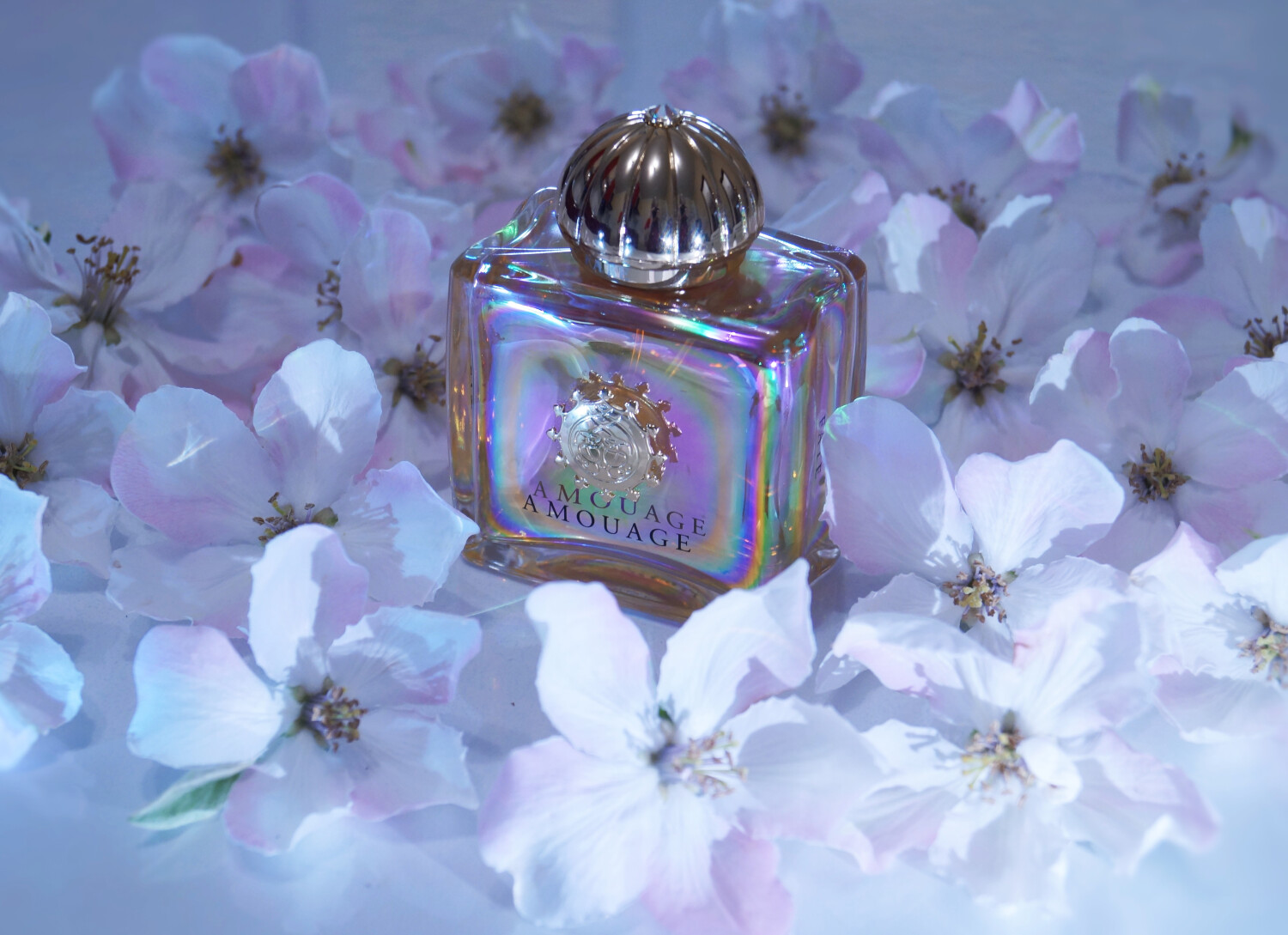 Fate Woman Amouage perfume - a fragrance for women 2013
