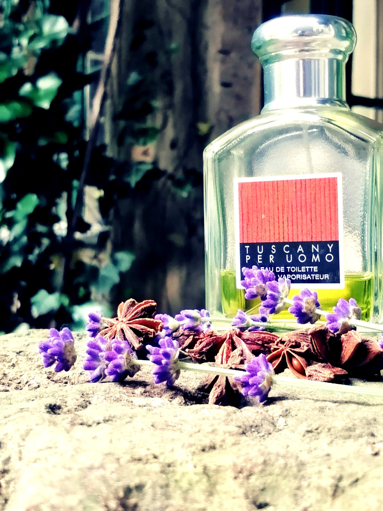 Tuscany Per Uomo Aramis cologne - a fragrance for men 1984