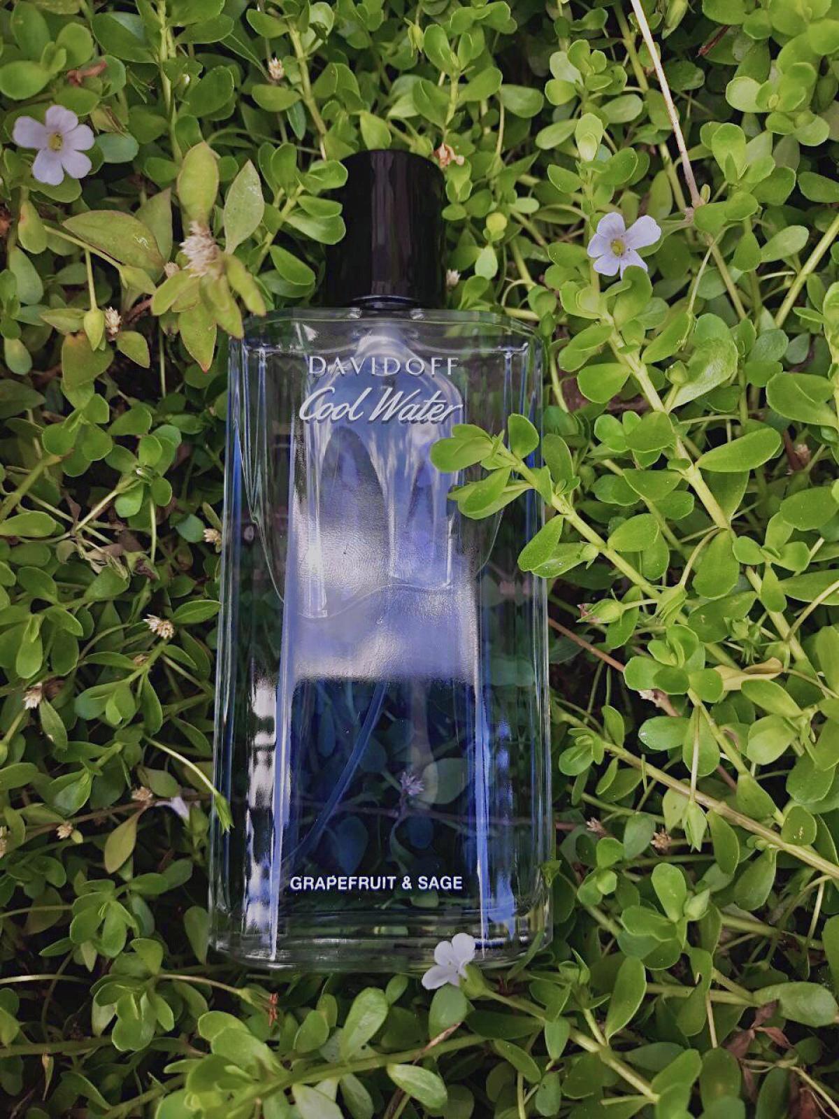 Cool Water Grapefruit & Sage Davidoff cologne - a fragrance for men 2022
