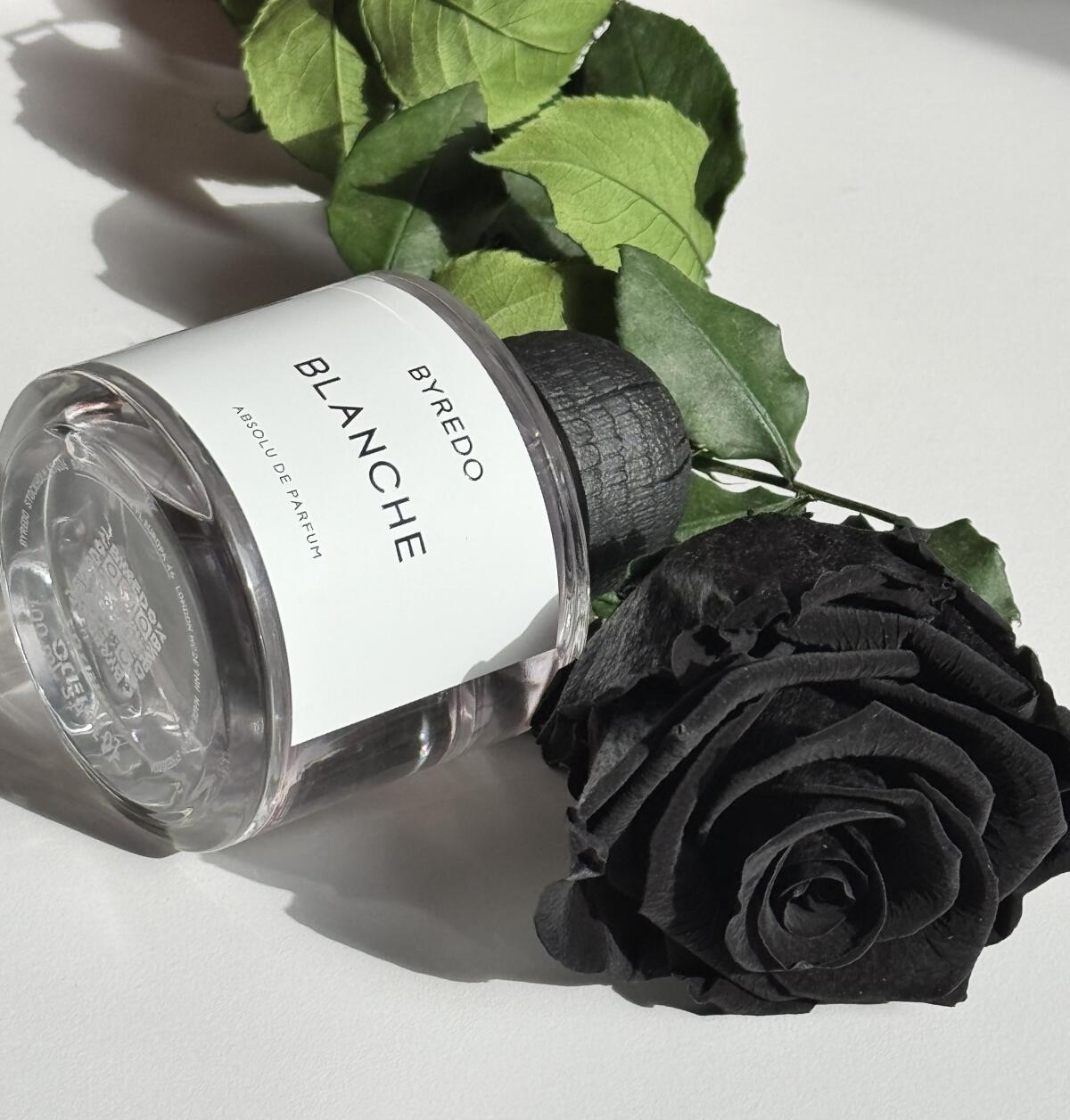 Blanche Absolu Byredo аромат — новый аромат для мужчин и женщин 2025
