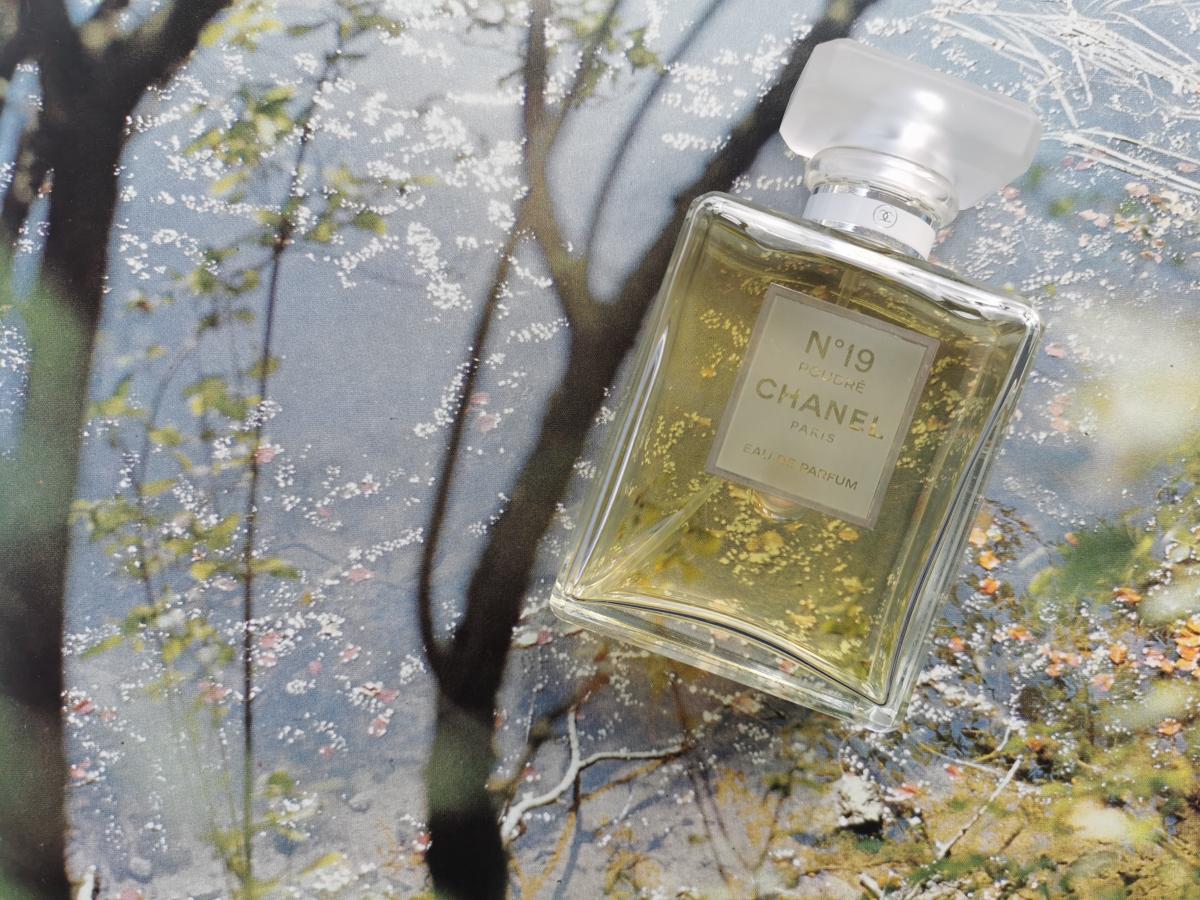 Chanel No 19 Poudre Chanel perfume - a fragrance for women 2011