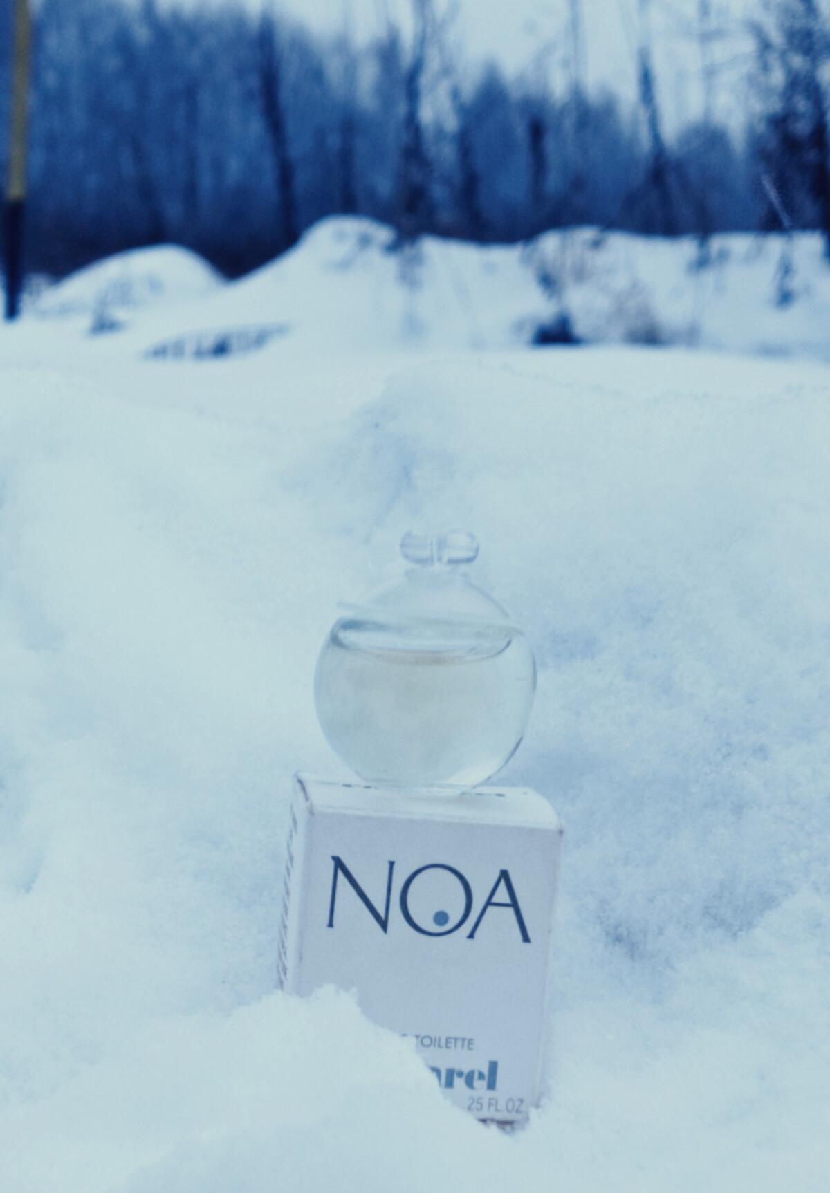 Noa Cacharel perfume - a fragrance for women 1998