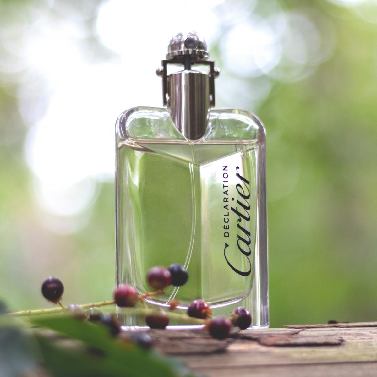 Declaration Cartier cologne - a fragrance for men 1998