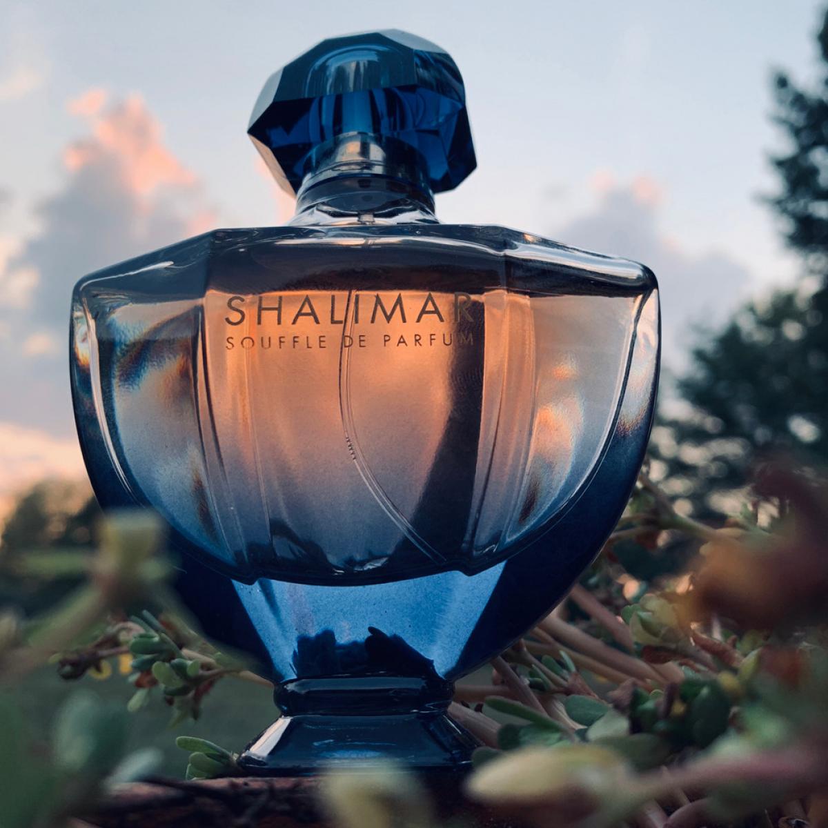 Shalimar Souffle de Parfum Guerlain perfume - a fragrance for women 2014