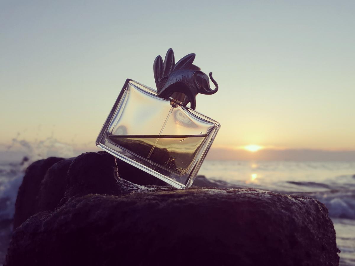 Kenzo Jungle L'Elephant Kenzo parfum - un parfum pour femme 1996