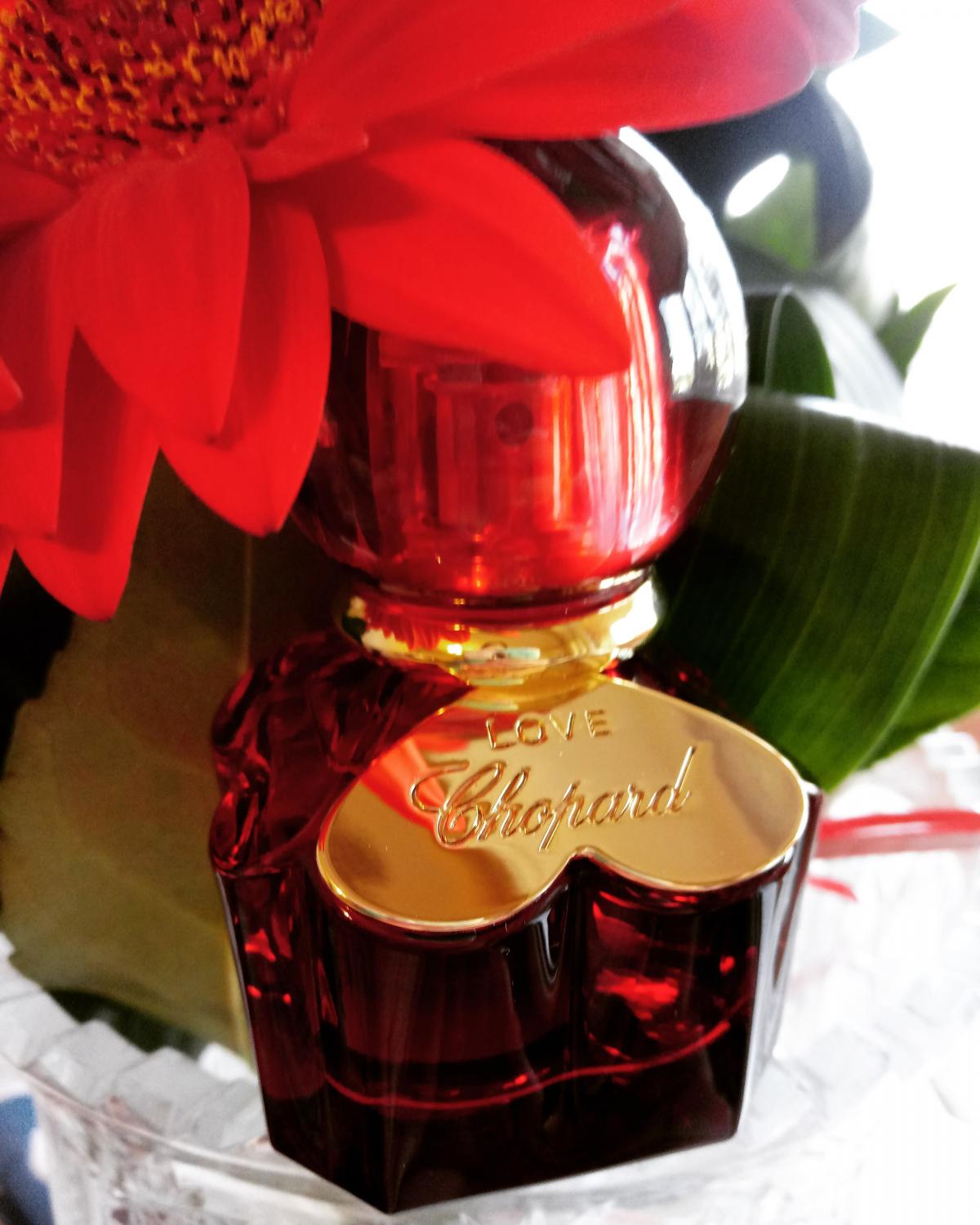 Love Chopard Chopard perfume - a new fragrance for women 2020