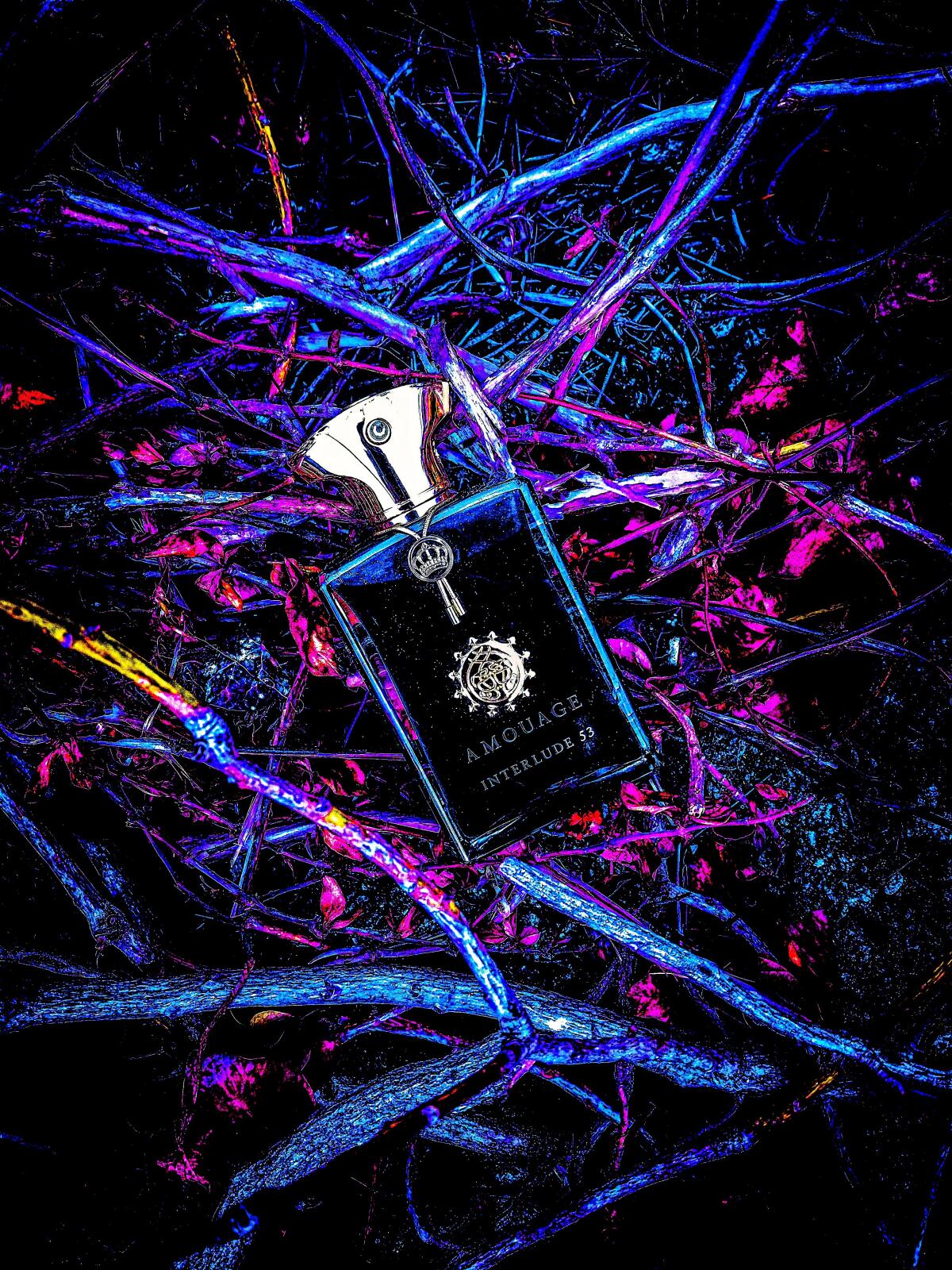 Interlude 53 Man Amouage cologne - a fragrance for men 2020