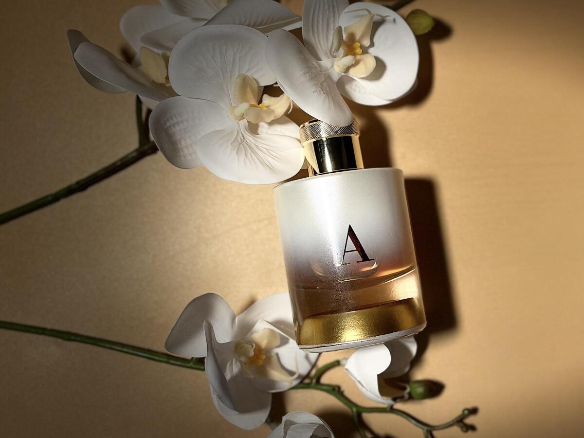 A Pantheon Roma perfume - a fragrance for women and men 2023