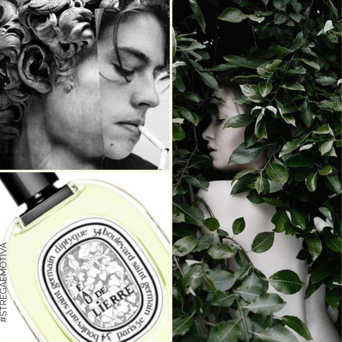 Eau de Lierre Eau de Toilette Diptyque perfume - a fragrance for women 2006