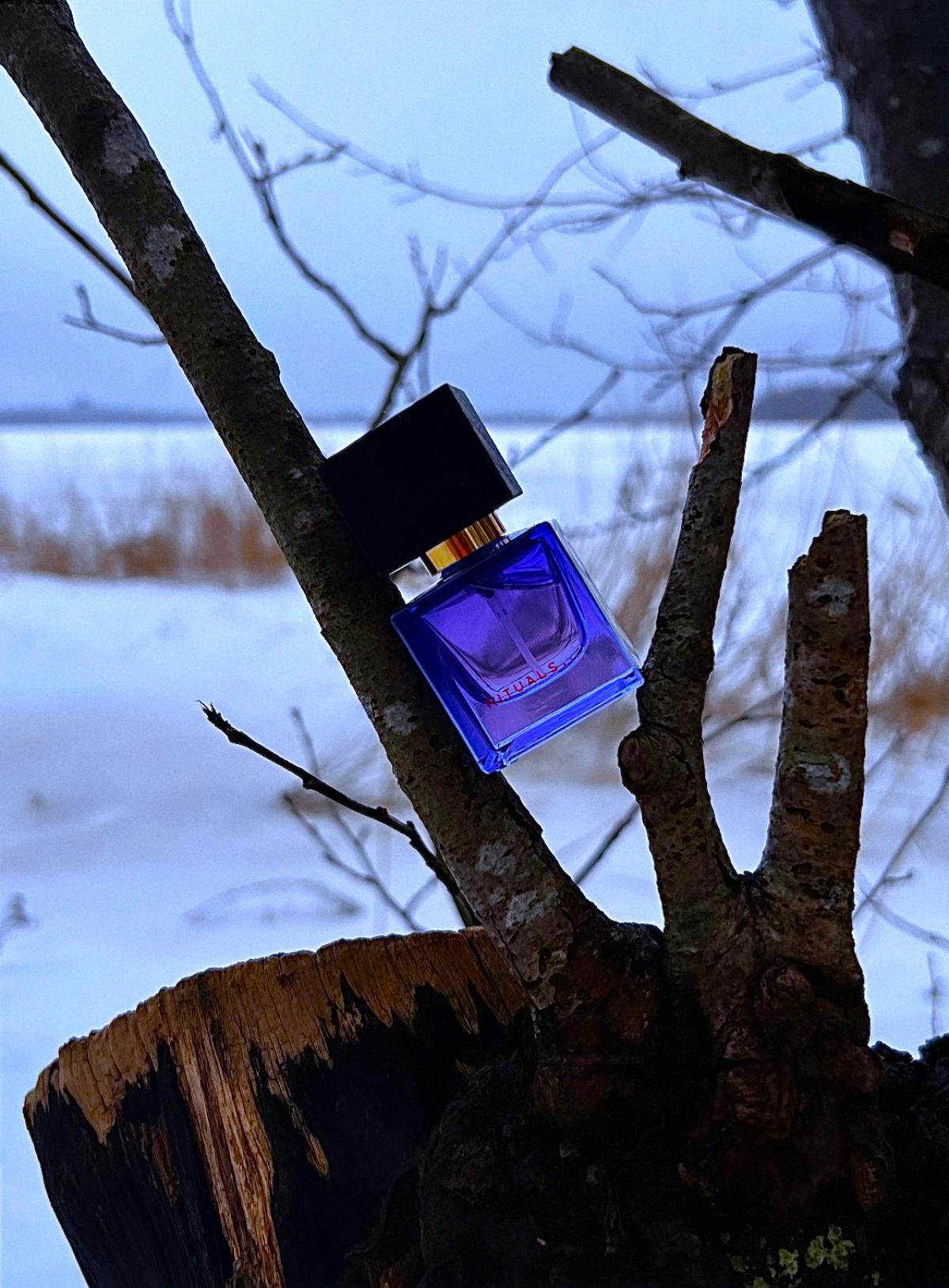 Auspicious Dragon Rituals perfume - a new fragrance for women and men 2023