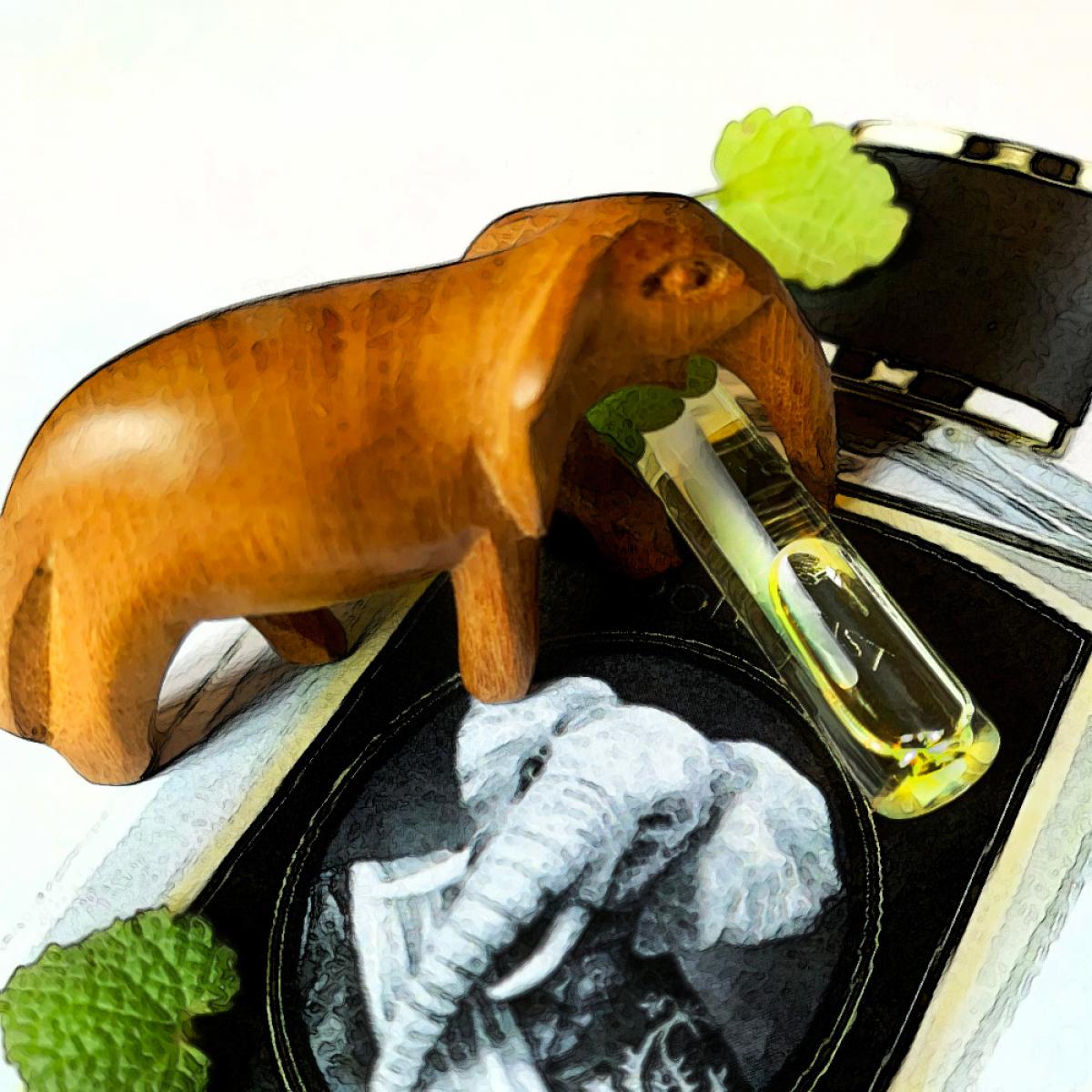 Elephant Zoologist Perfumes parfum - un parfum pour homme et femme 2017