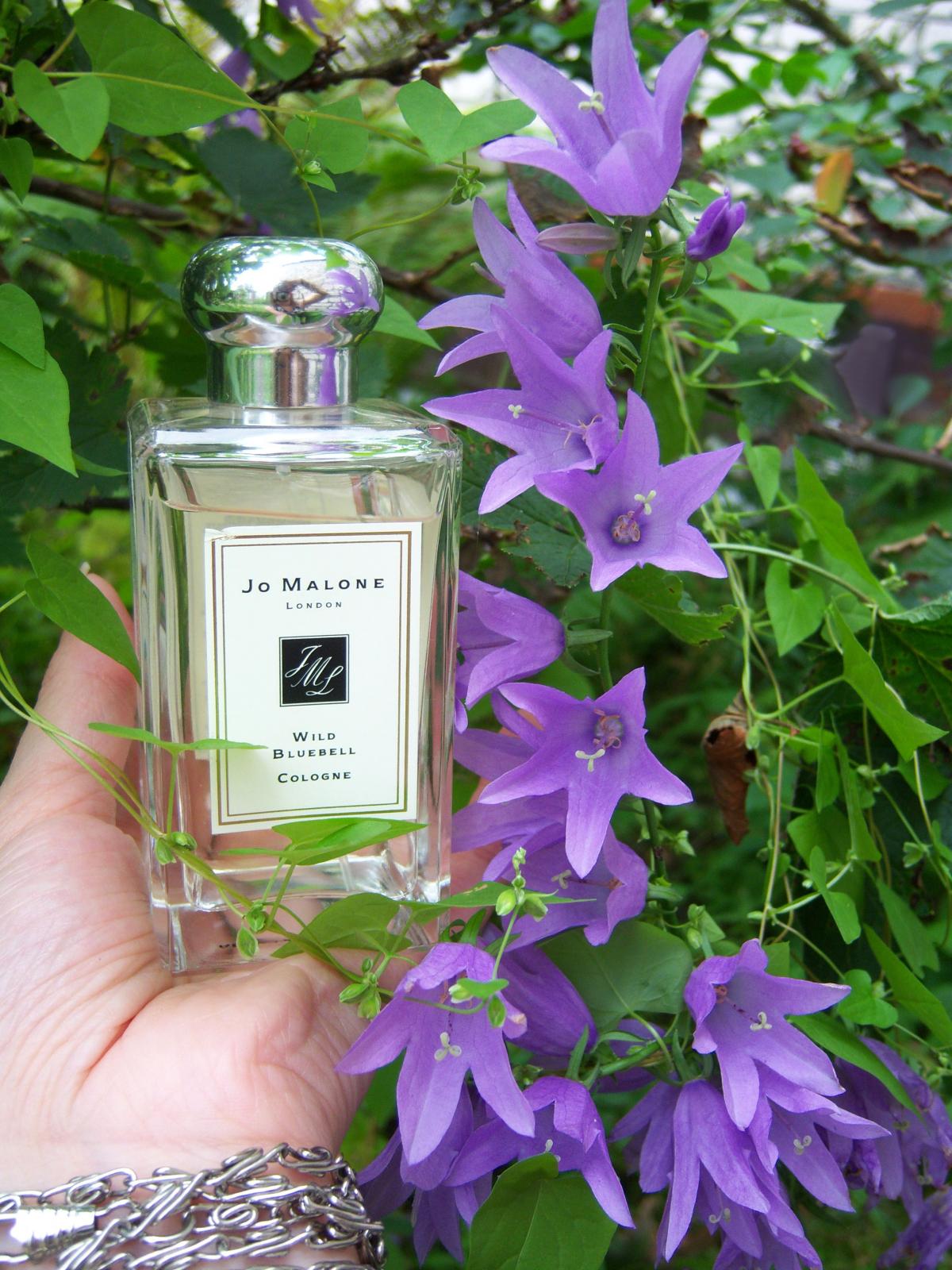 Wild Bluebell Jo Malone London - una fragranza da donna 2011