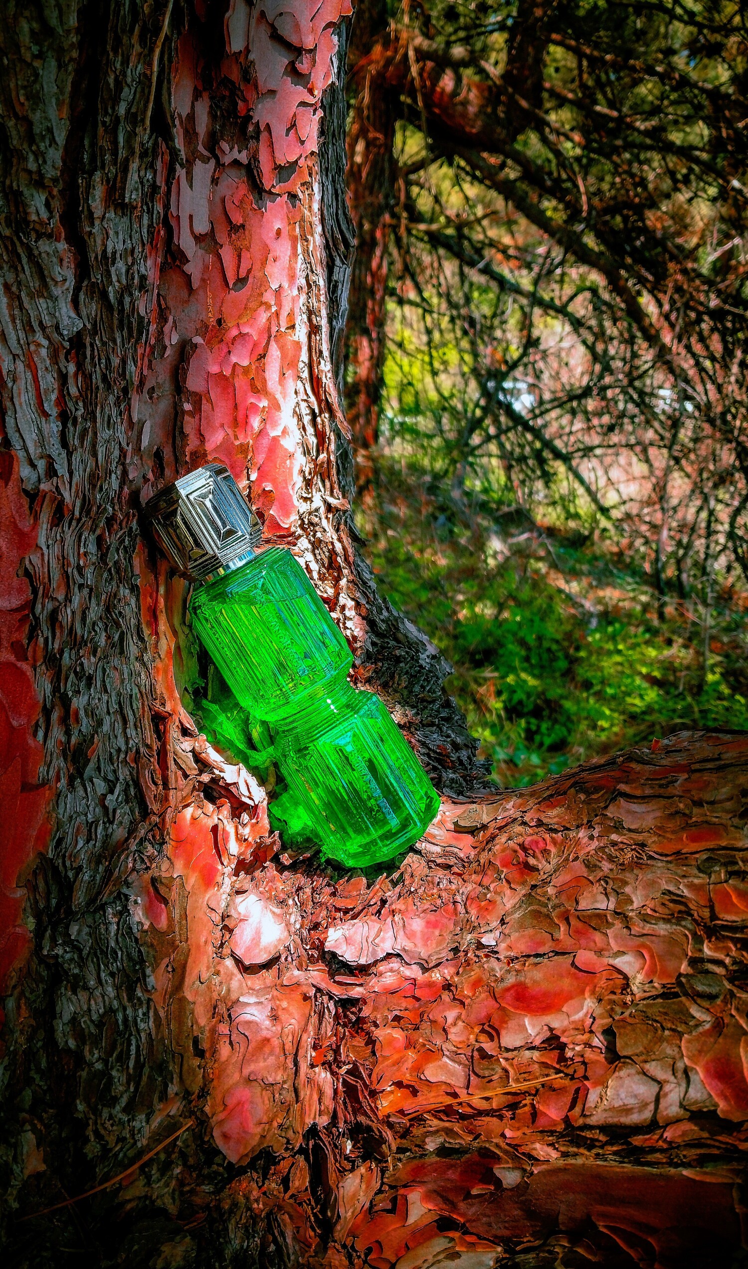 SR Eight Stefano Ricci cologne - a fragrance for men 2017