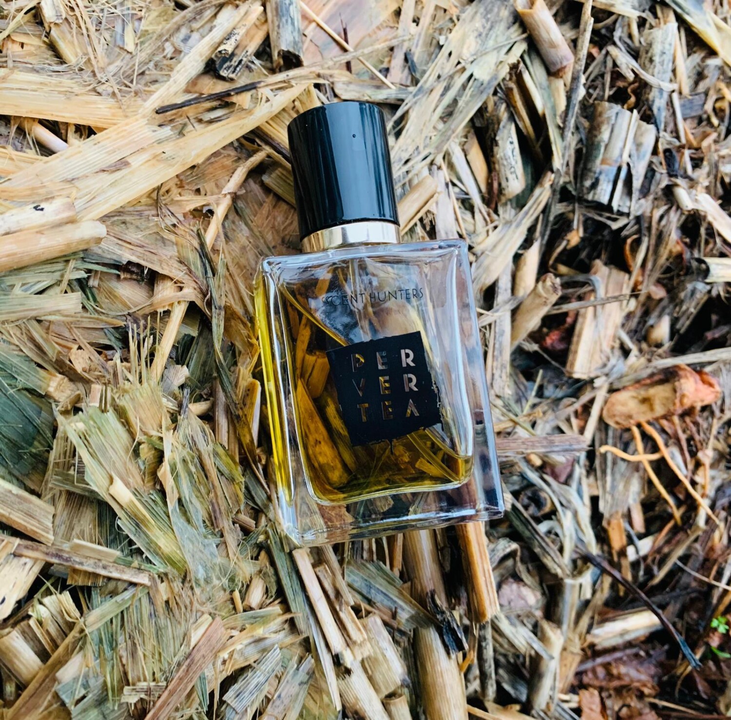 Pervertea Scent Hunters perfume - a fragrance for women and men 2023
