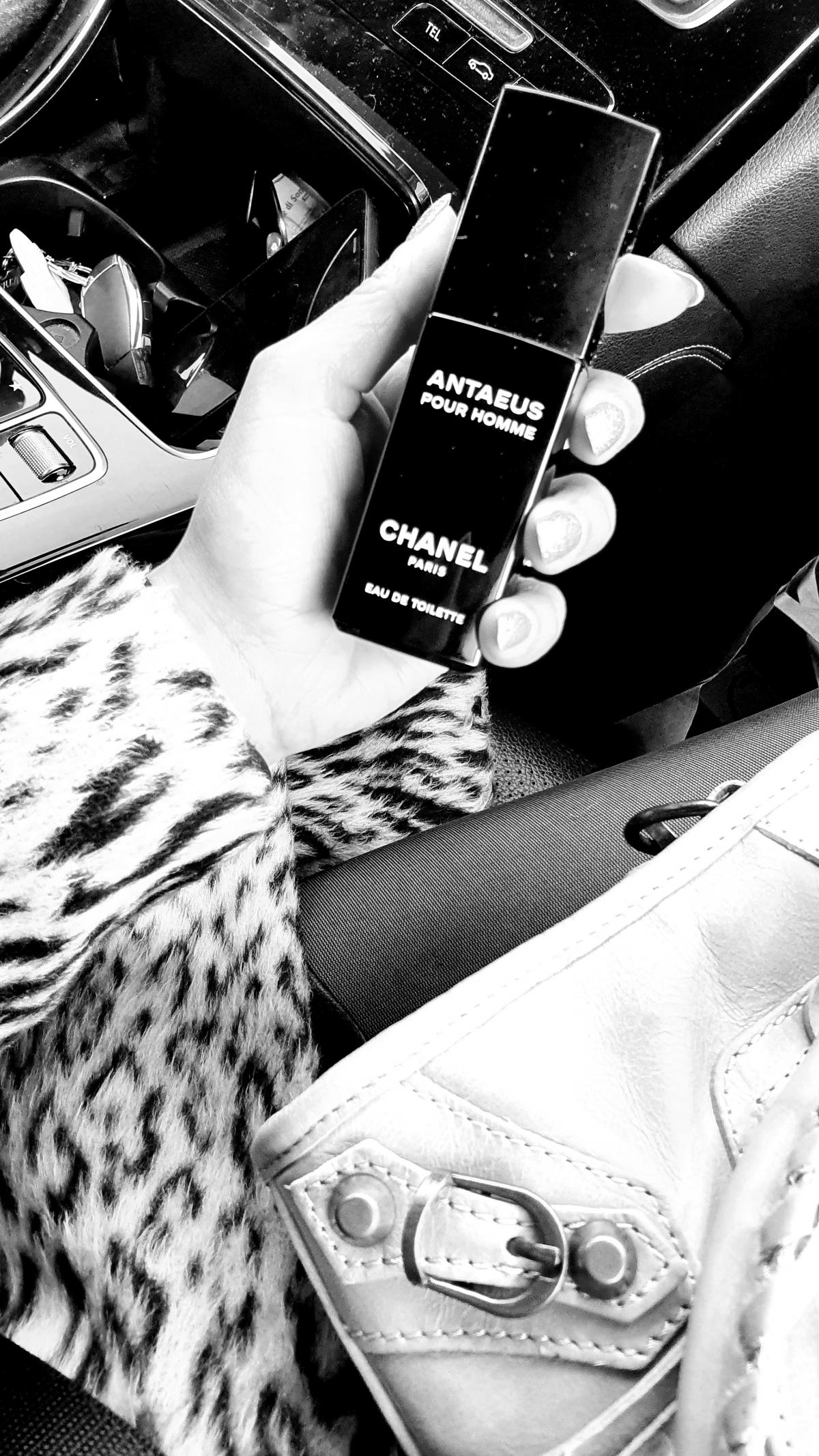 Antaeus Chanel cologne - a fragrance for men 1981