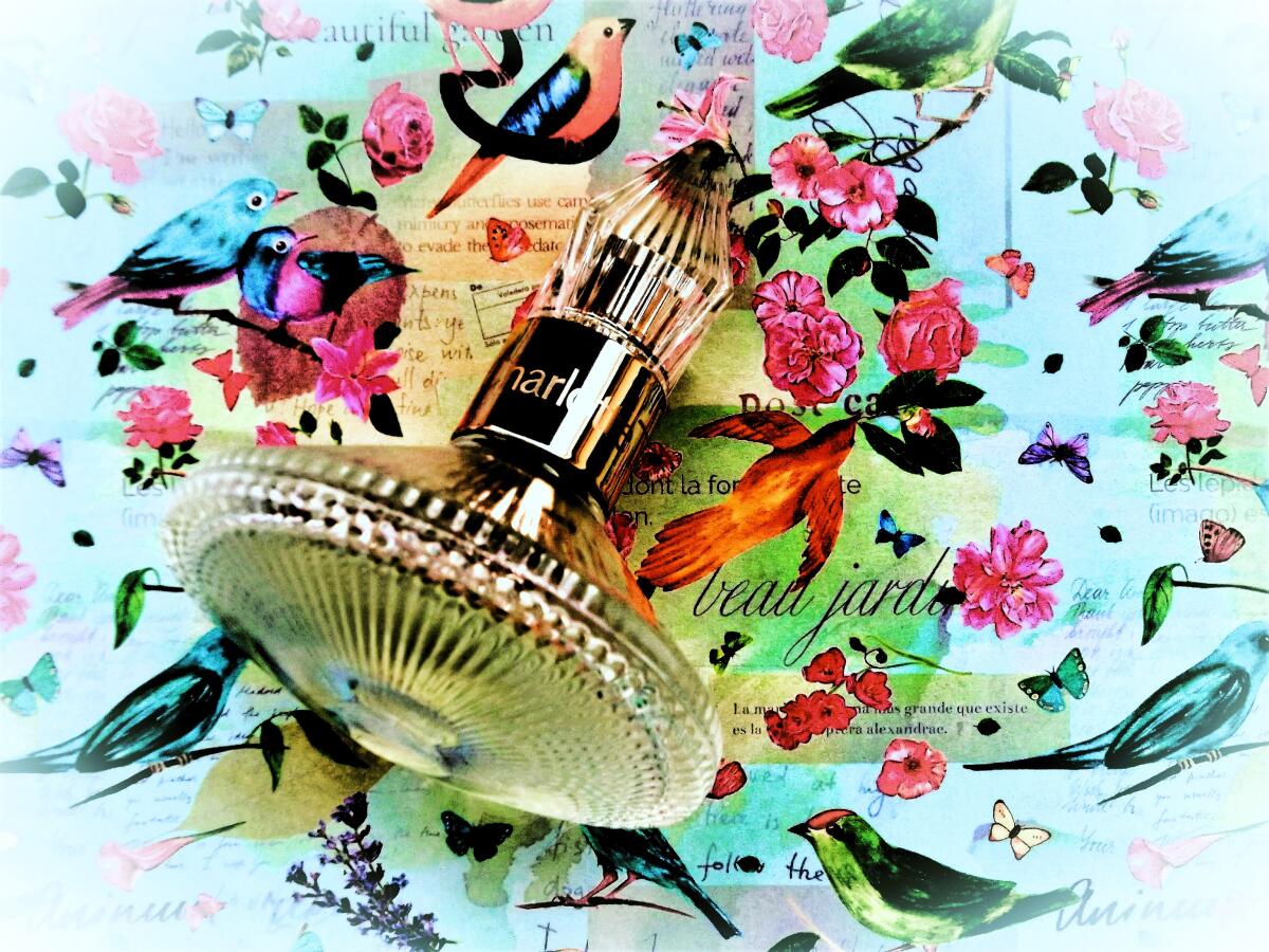 Scent of a Dream Charlotte Tilbury perfume - a fragrance for women 2016