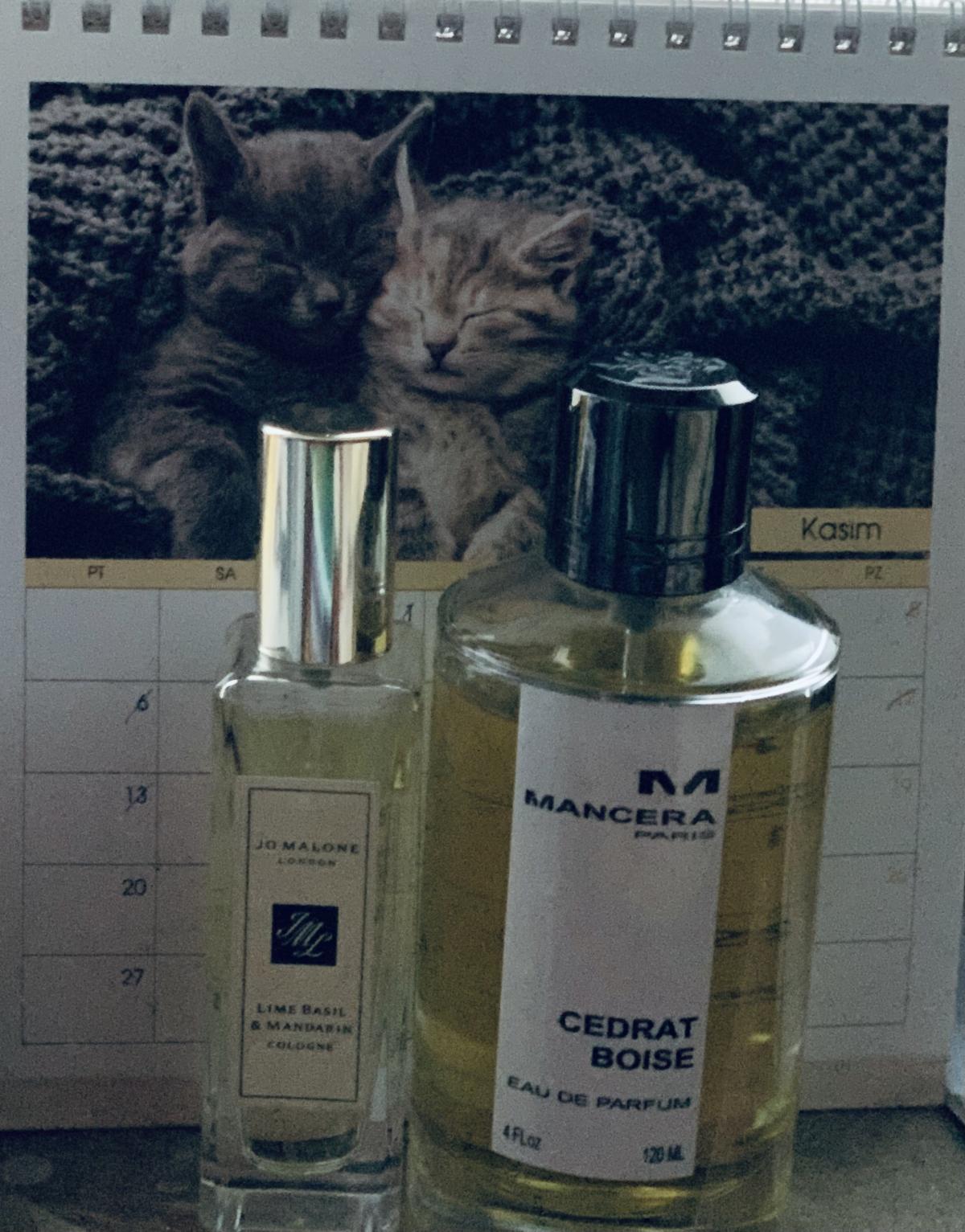 Lime Basil & Mandarin Jo Malone London сүрчиг - a сүрчиг эрэгтэй ...