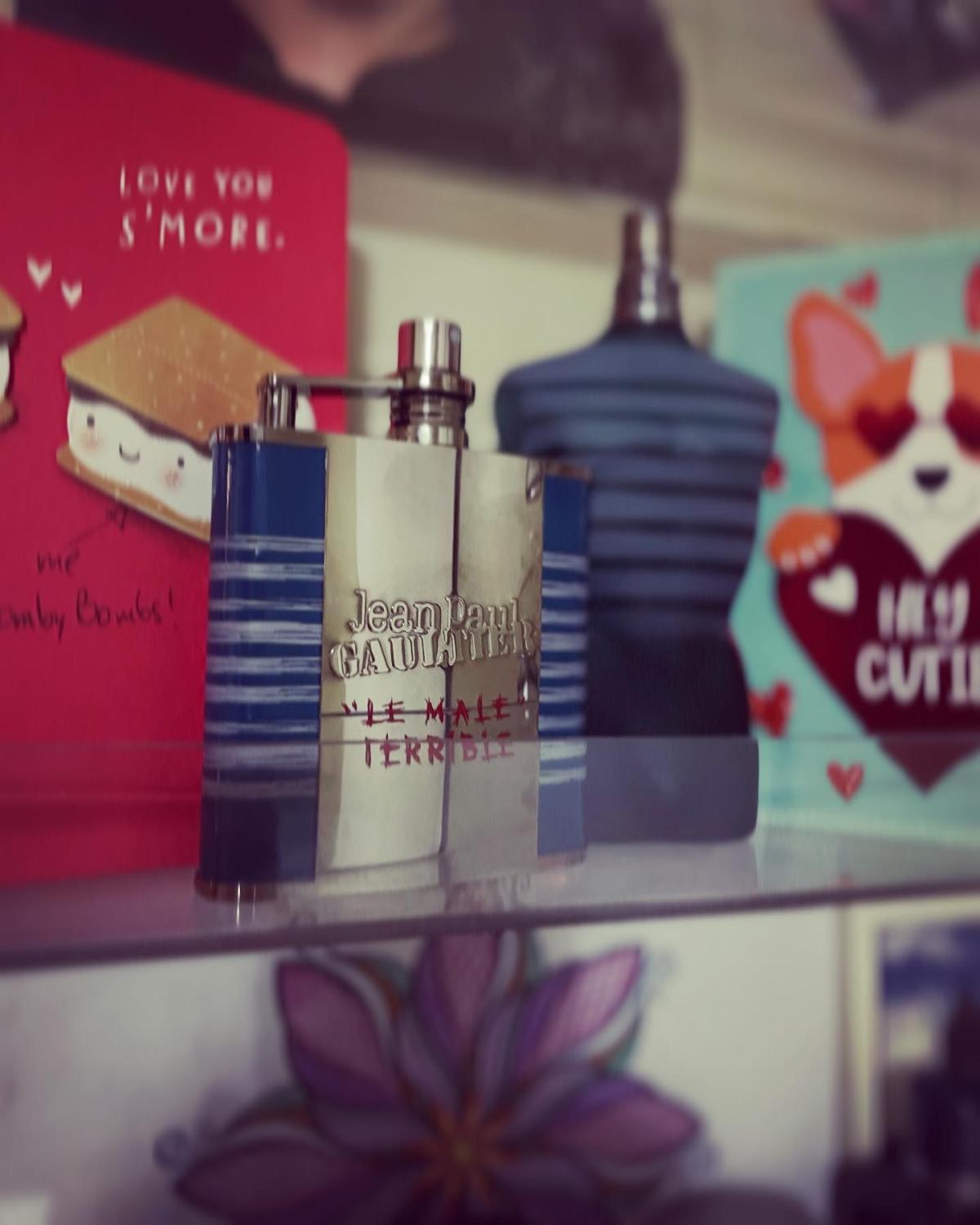 Le Male Terrible Jean Paul Gaultier cologne - a fragrance for men 2010