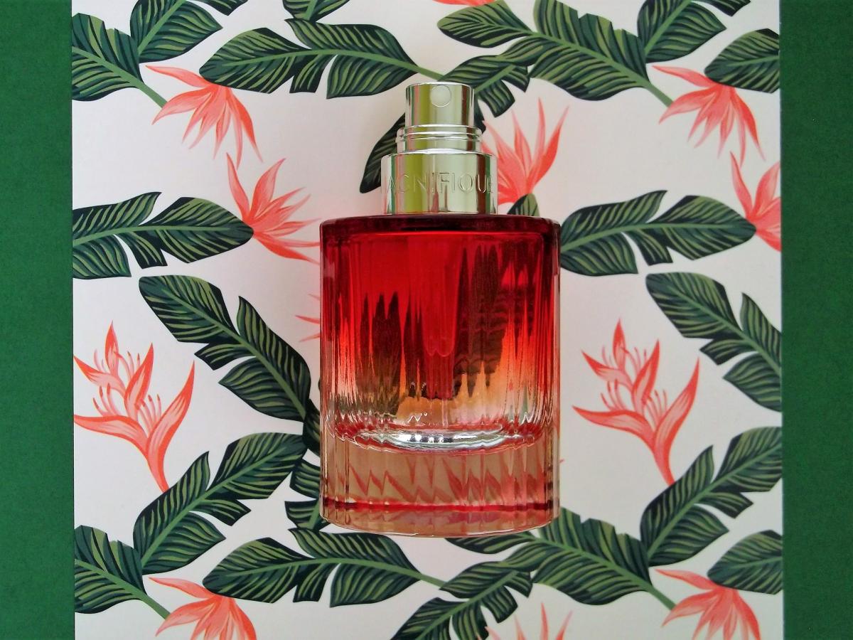 Magnifique Lancôme perfume - a fragrance for women 2008