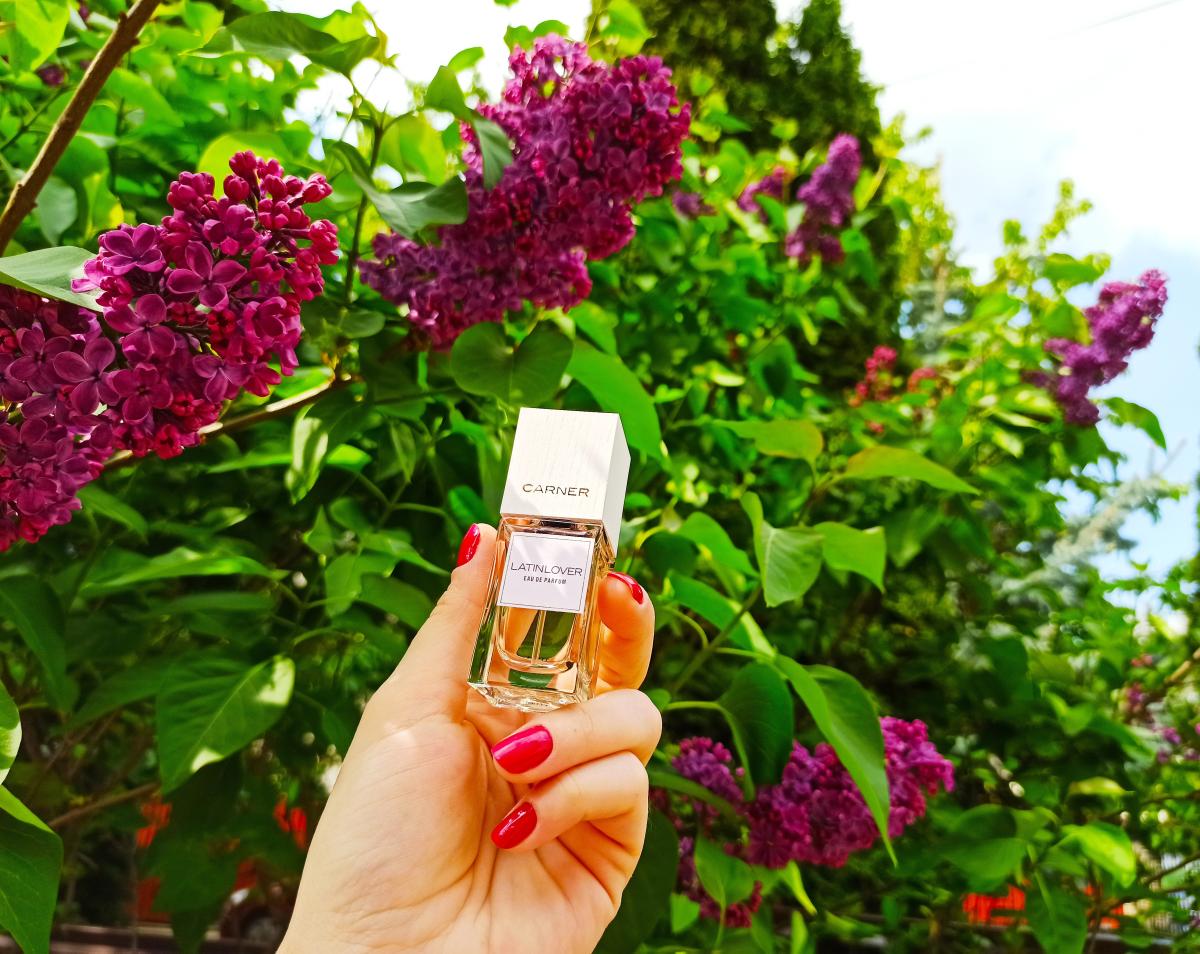 Latin Lover Carner Barcelona perfume - a fragrance for women and men 2017