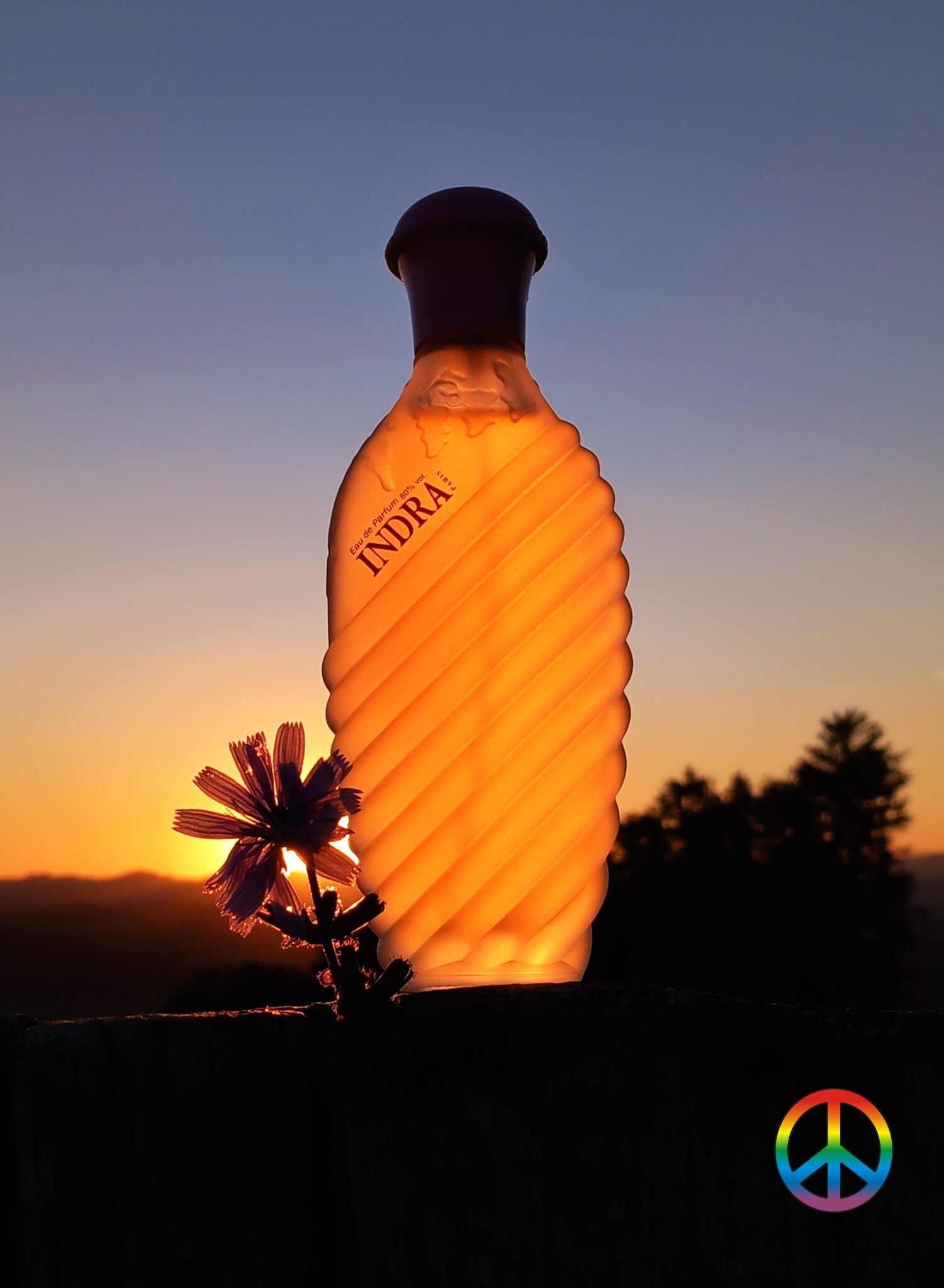 Indra Ulric de Varens perfume - a fragrance for women