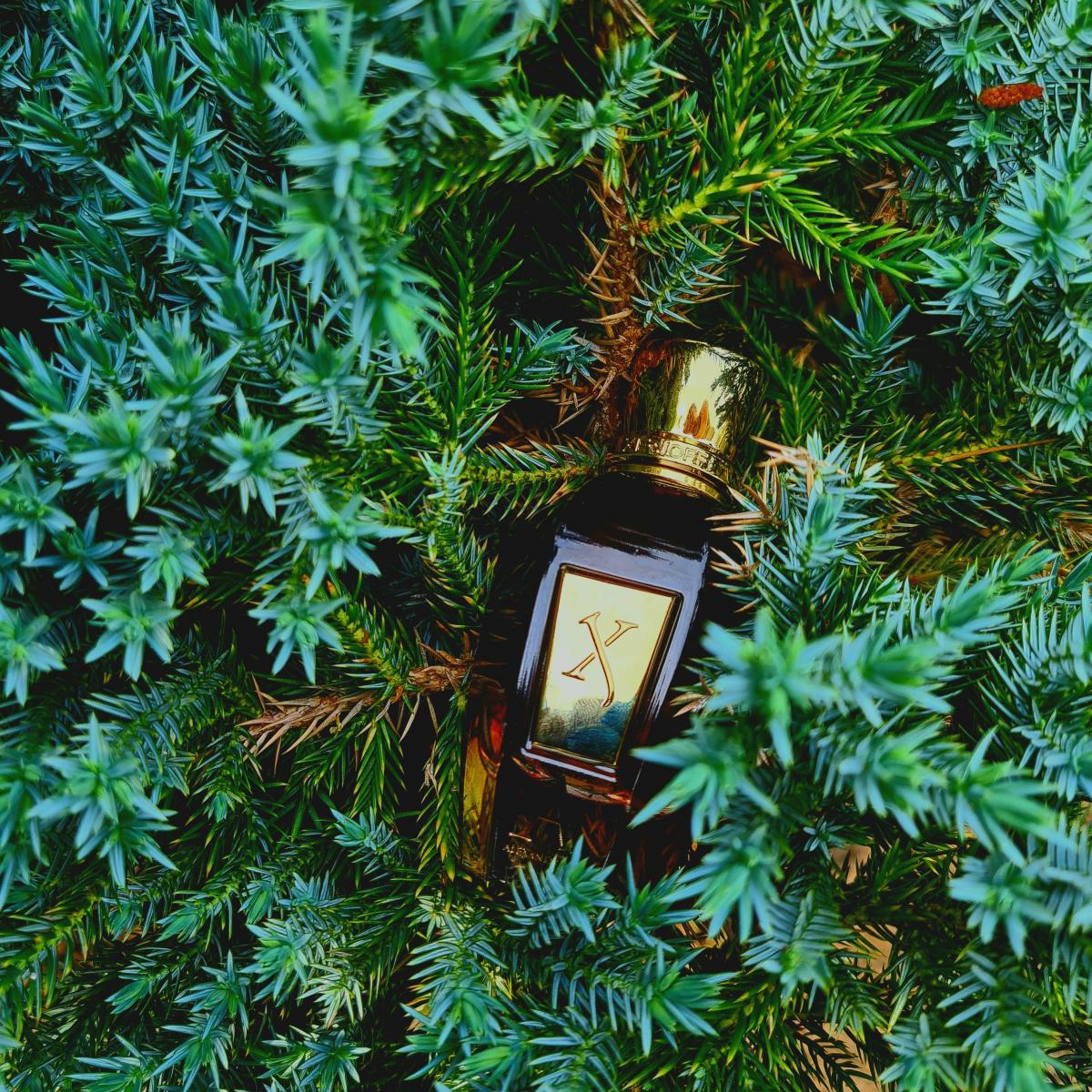 Alexandria II Xerjoff perfume - a fragrance for women and men 2012