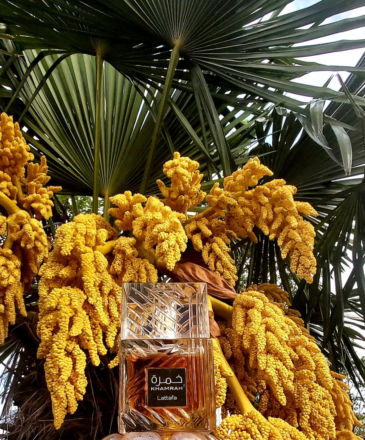 Khamrah Lattafa Perfumes perfume - a new fragrance for women and men 2022