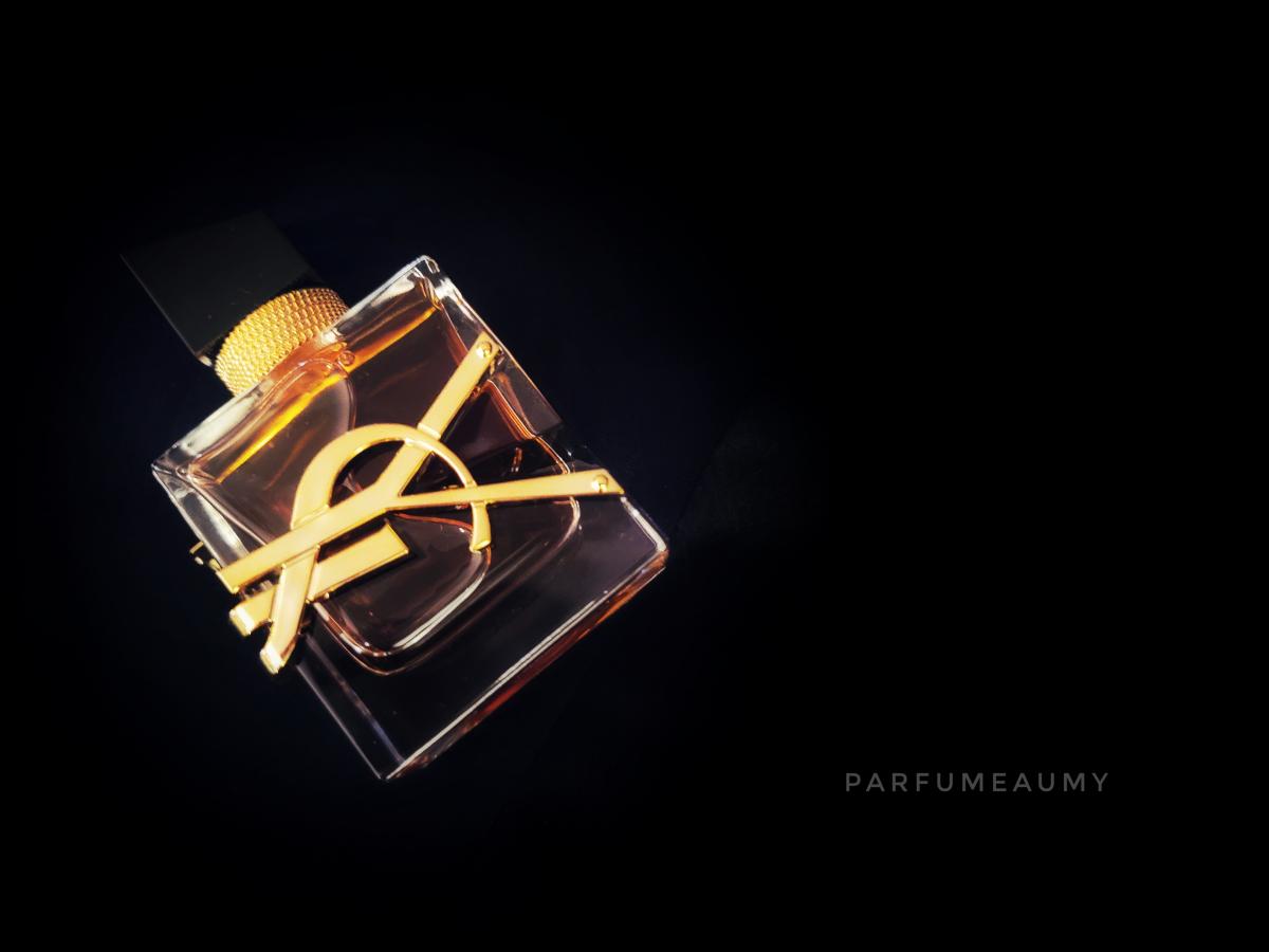 Libre Intense Yves Saint Laurent perfume - a new fragrance for women 2020