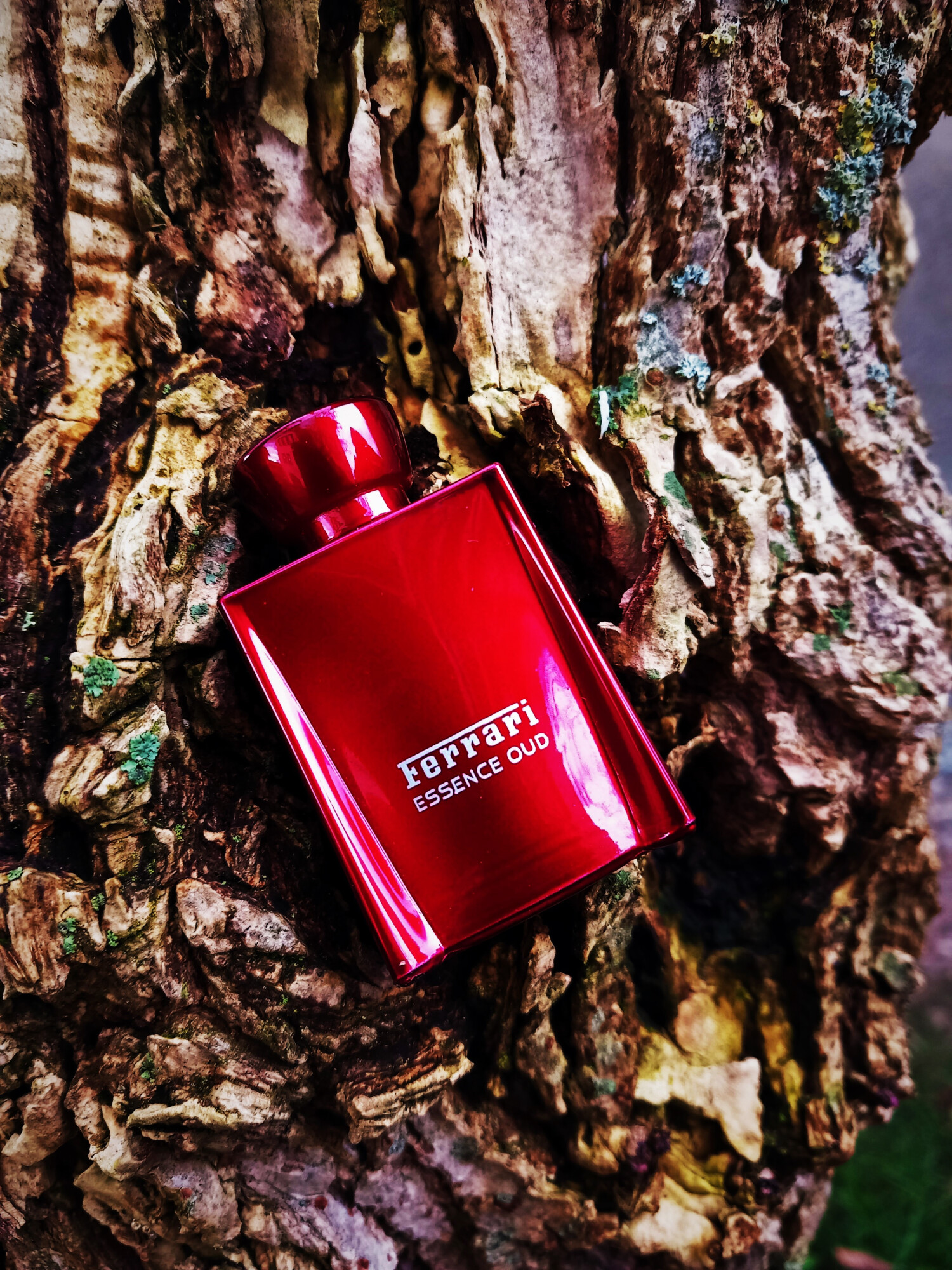 Essence Oud Ferrari cologne - a fragrance for men 2012